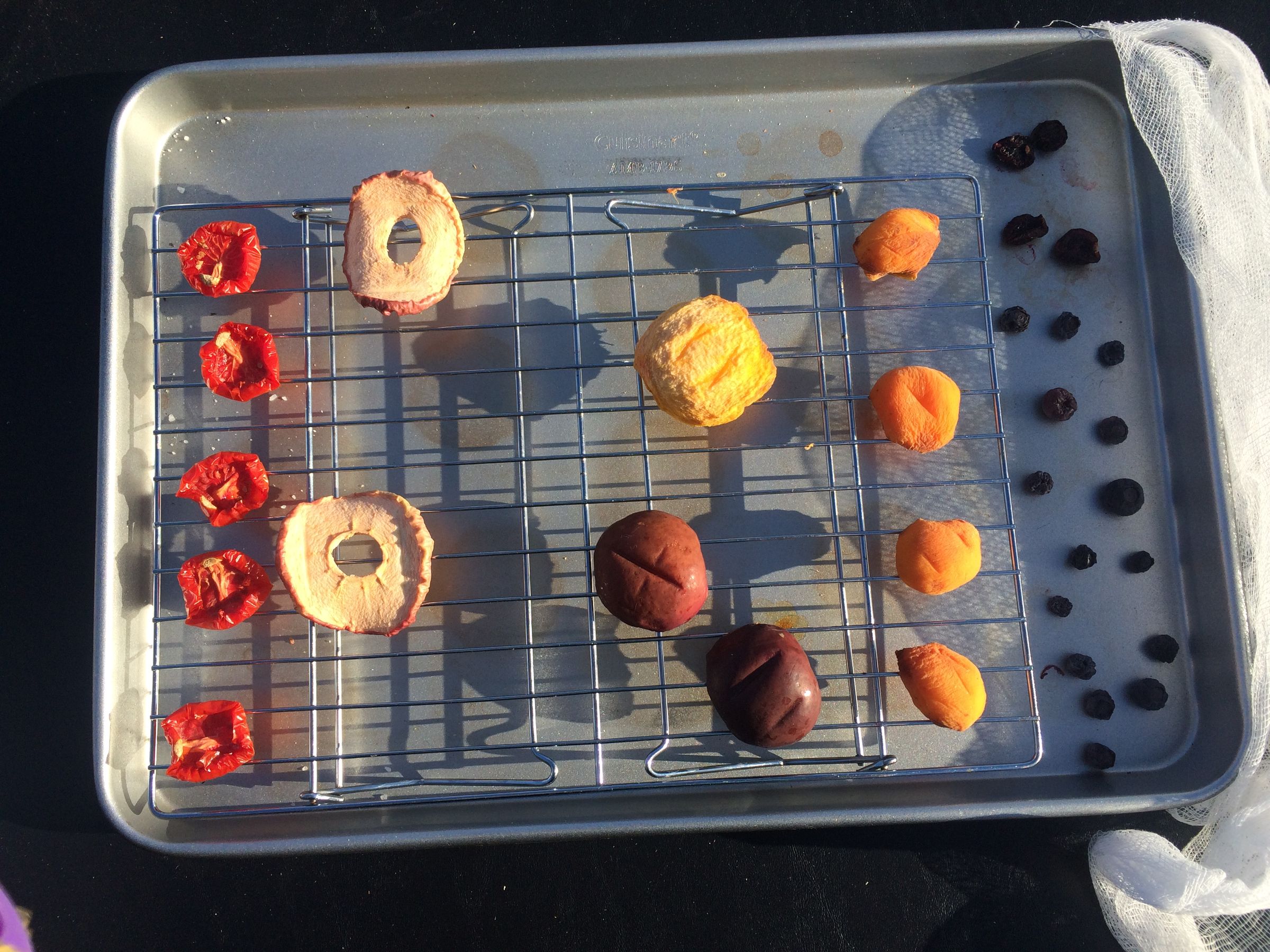 How to Sun Dry Fruit : 4 Steps (with Pictures) - Instructables
