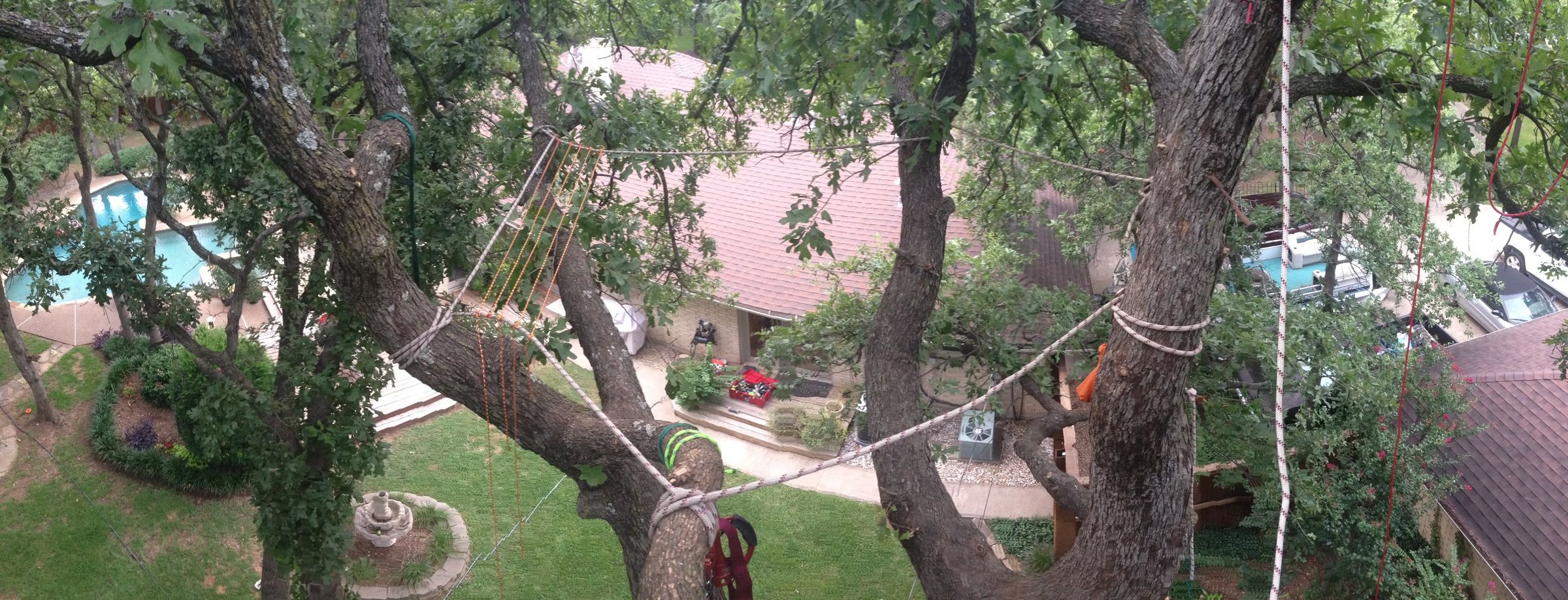 Tree Net : 5 Steps (with Pictures) - Instructables