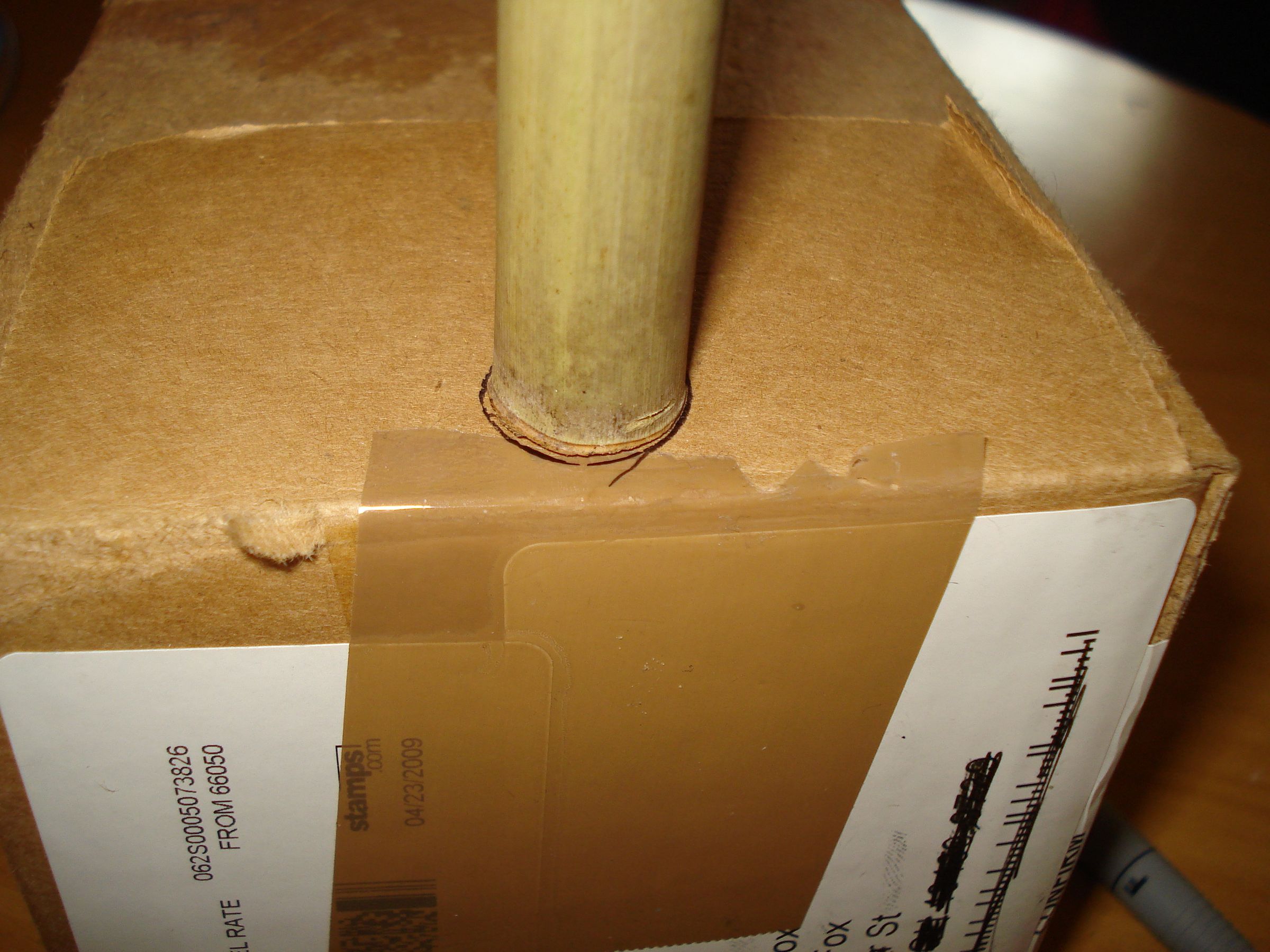 The Incredibly Simple Cardboard Box Electric Diddley Bow / Cajon : 8 ...