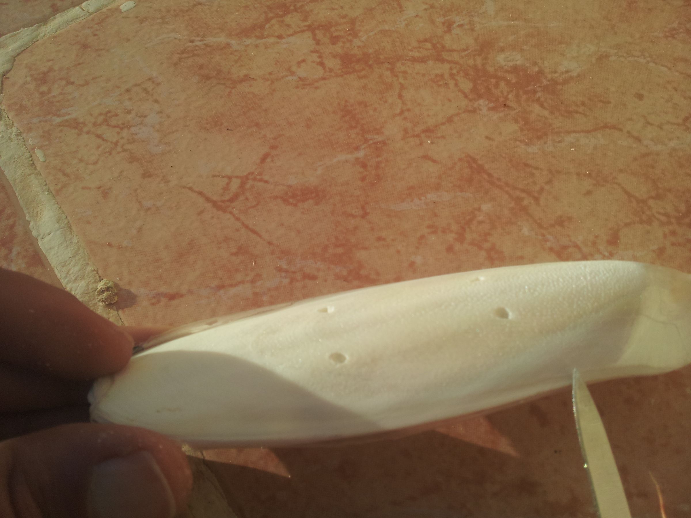 Zip Tie Cuttlebone Holder for Birds : 6 Steps - Instructables