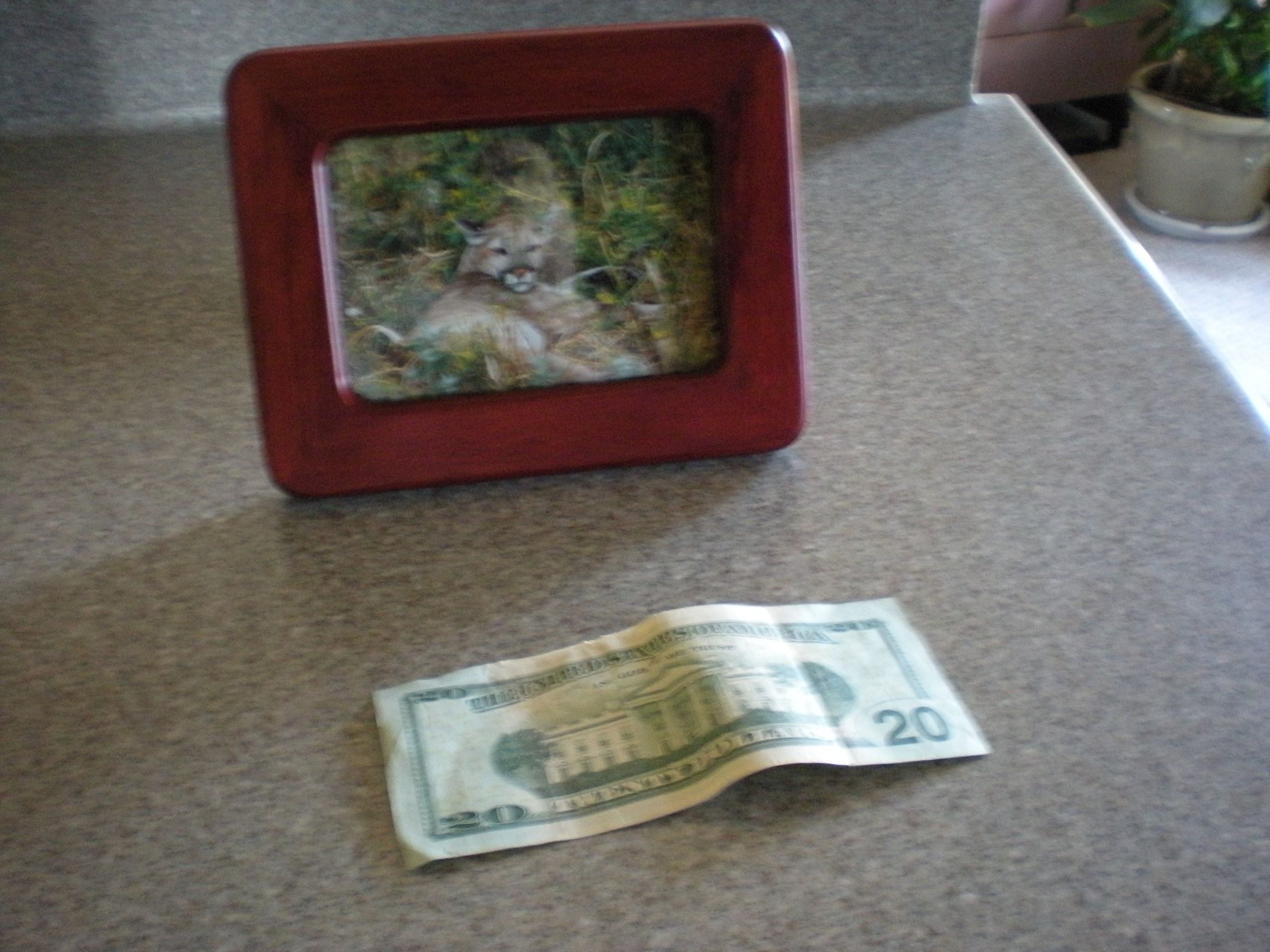 An Easy Way to Keep Money Safe! - Instructables