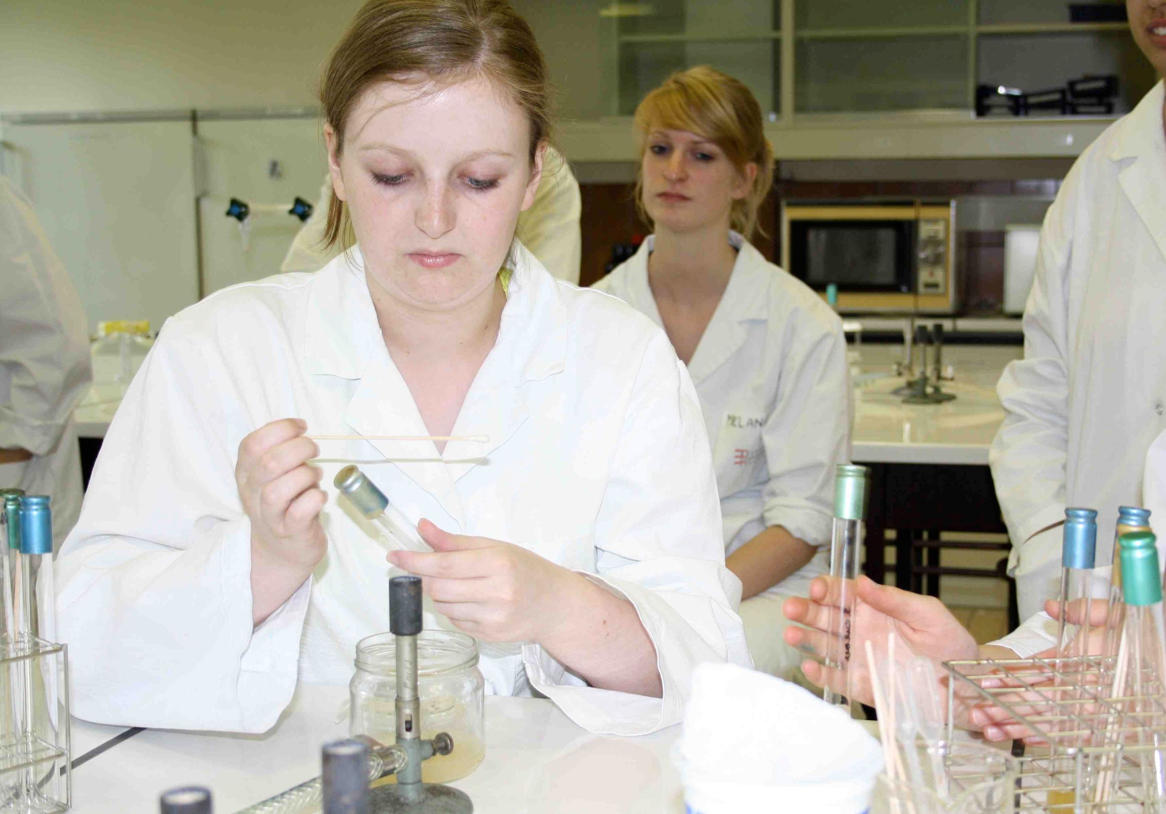 Cook Your Own Microbial Growth Plates : 8 Steps (with Pictures ...