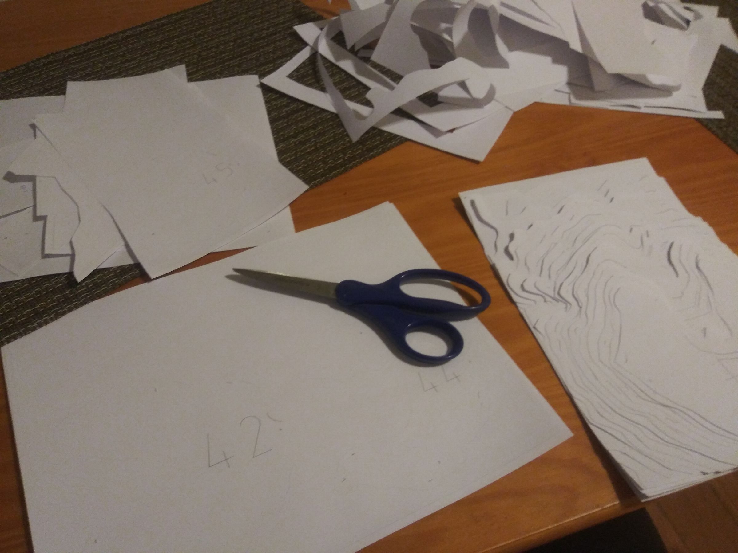 Cardboard 3D Topography: Favorite Places Project : 9 Steps (with ...