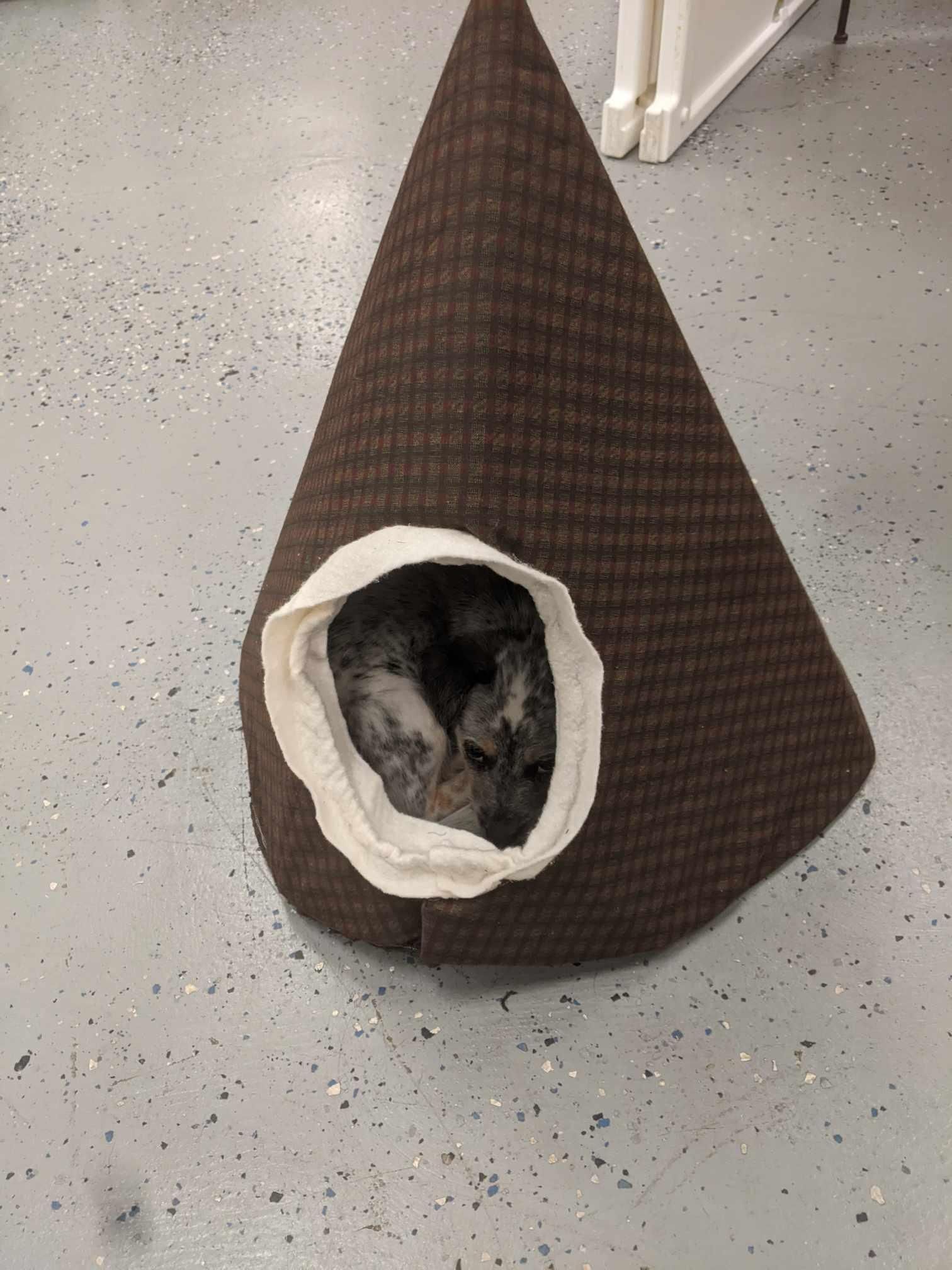 Cone Shaped Dog Cave/Bed : 4 Steps (with Pictures) - Instructables