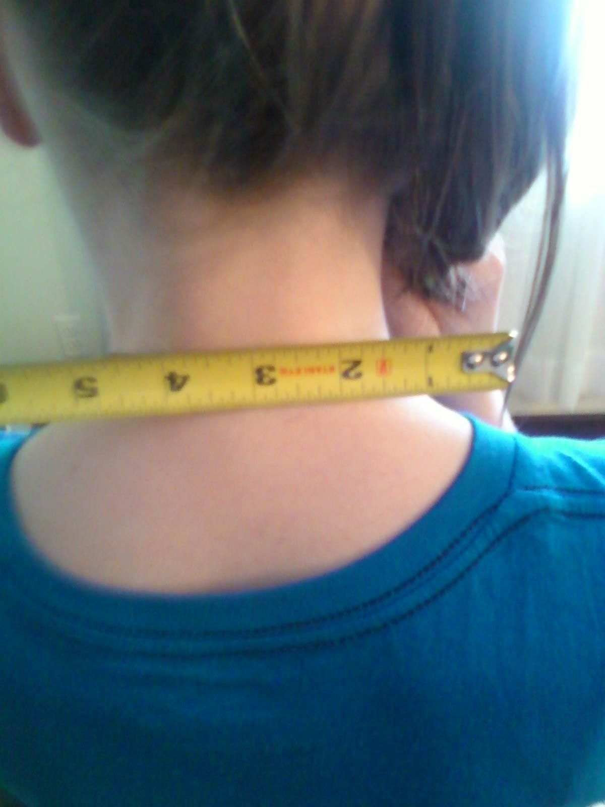 Fantastically Fun Flipper Costume : 7 Steps - Instructables