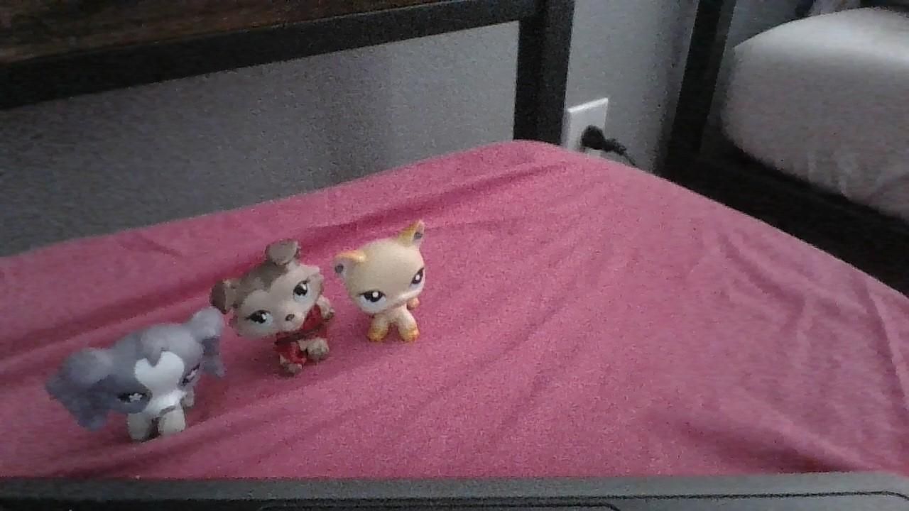 How to Make Lps Shirt or Costume : 3 Steps - Instructables
