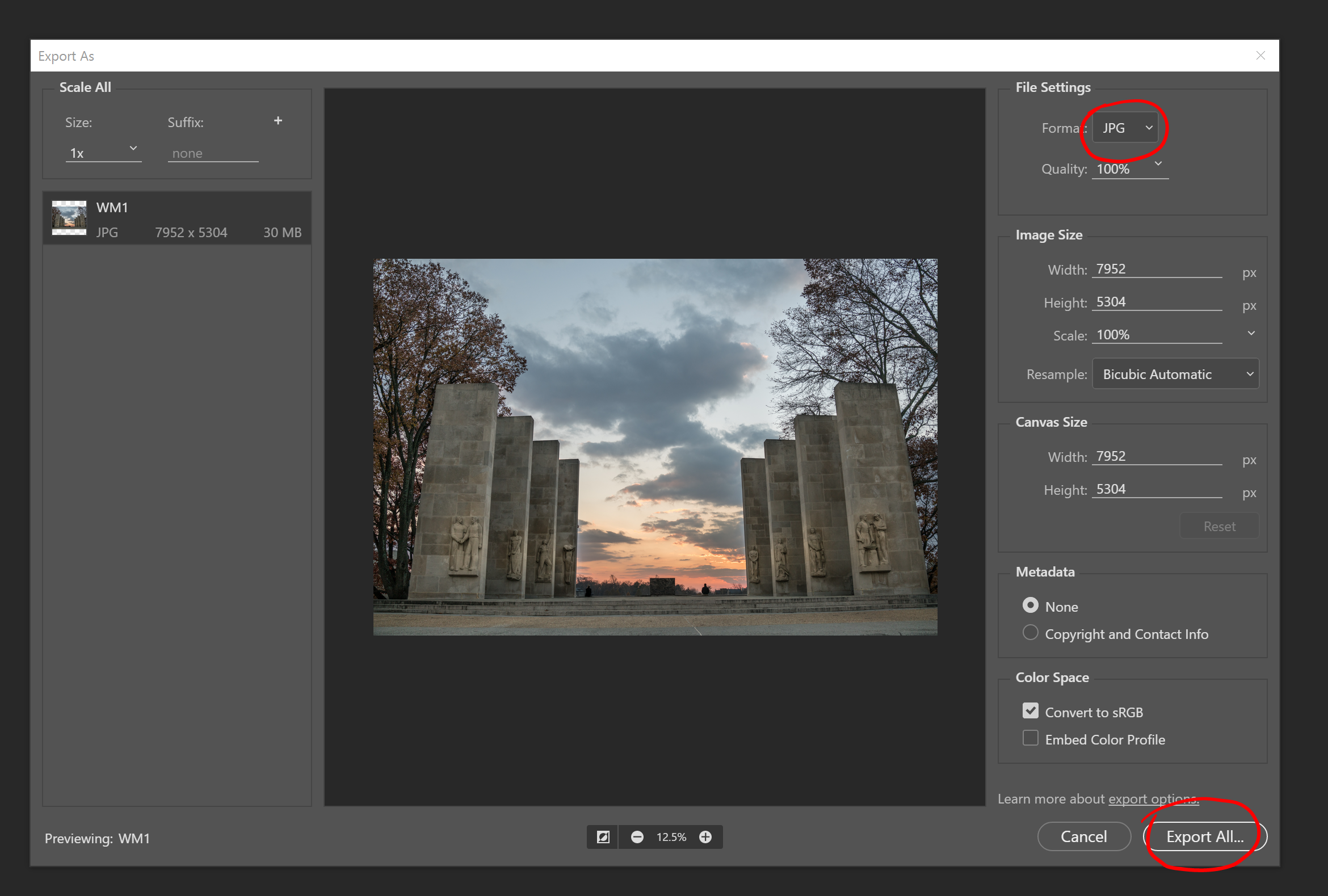 Using Adobe Photoshop's RAW Plug-In : 11 Steps - Instructables