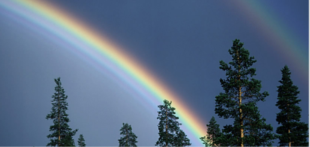 The Colors of the Rainbow (ROYGBIV) : 5 Steps - Instructables