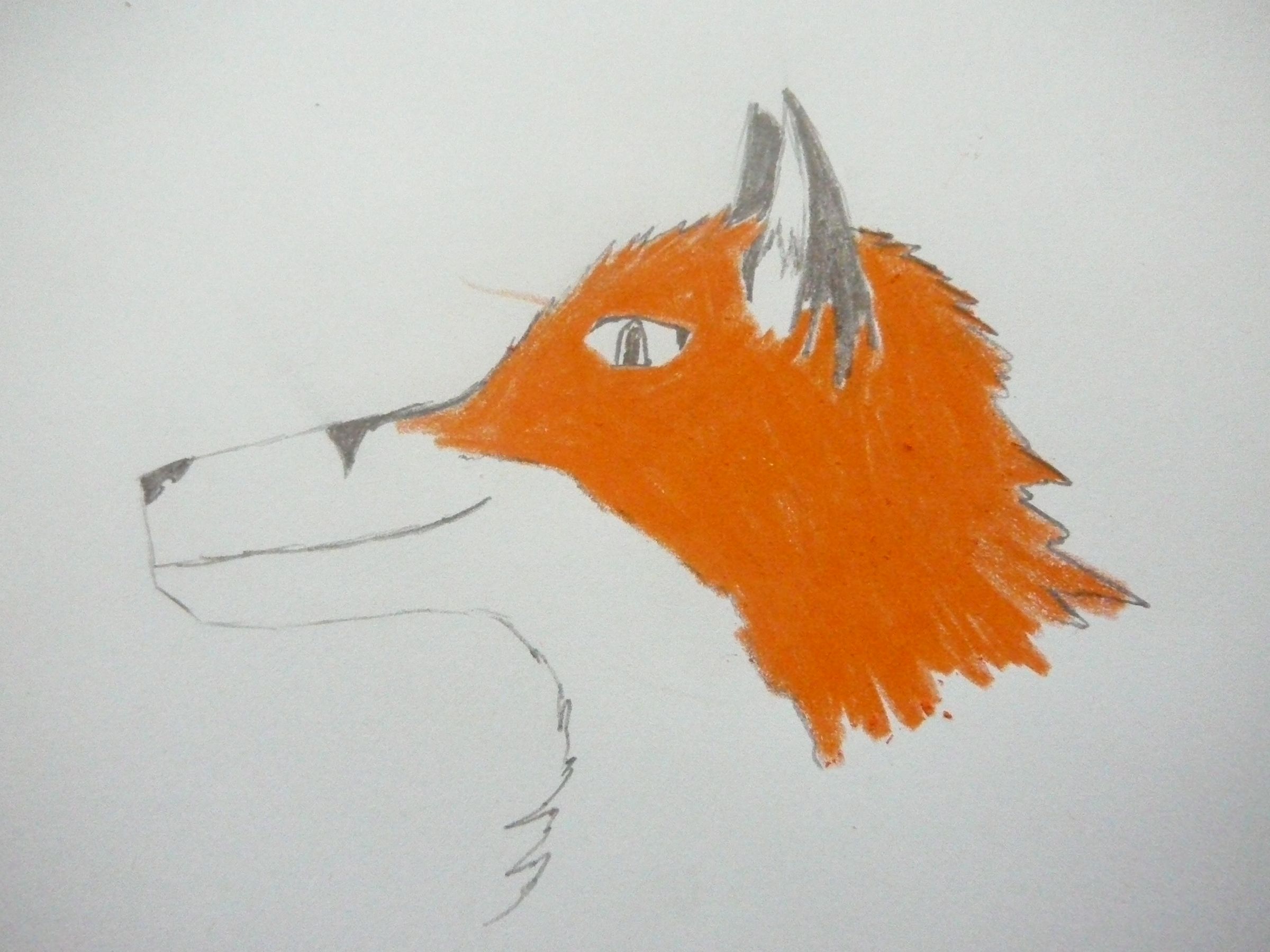 Changing the Wolf Drawing to a Fox : 8 Steps - Instructables