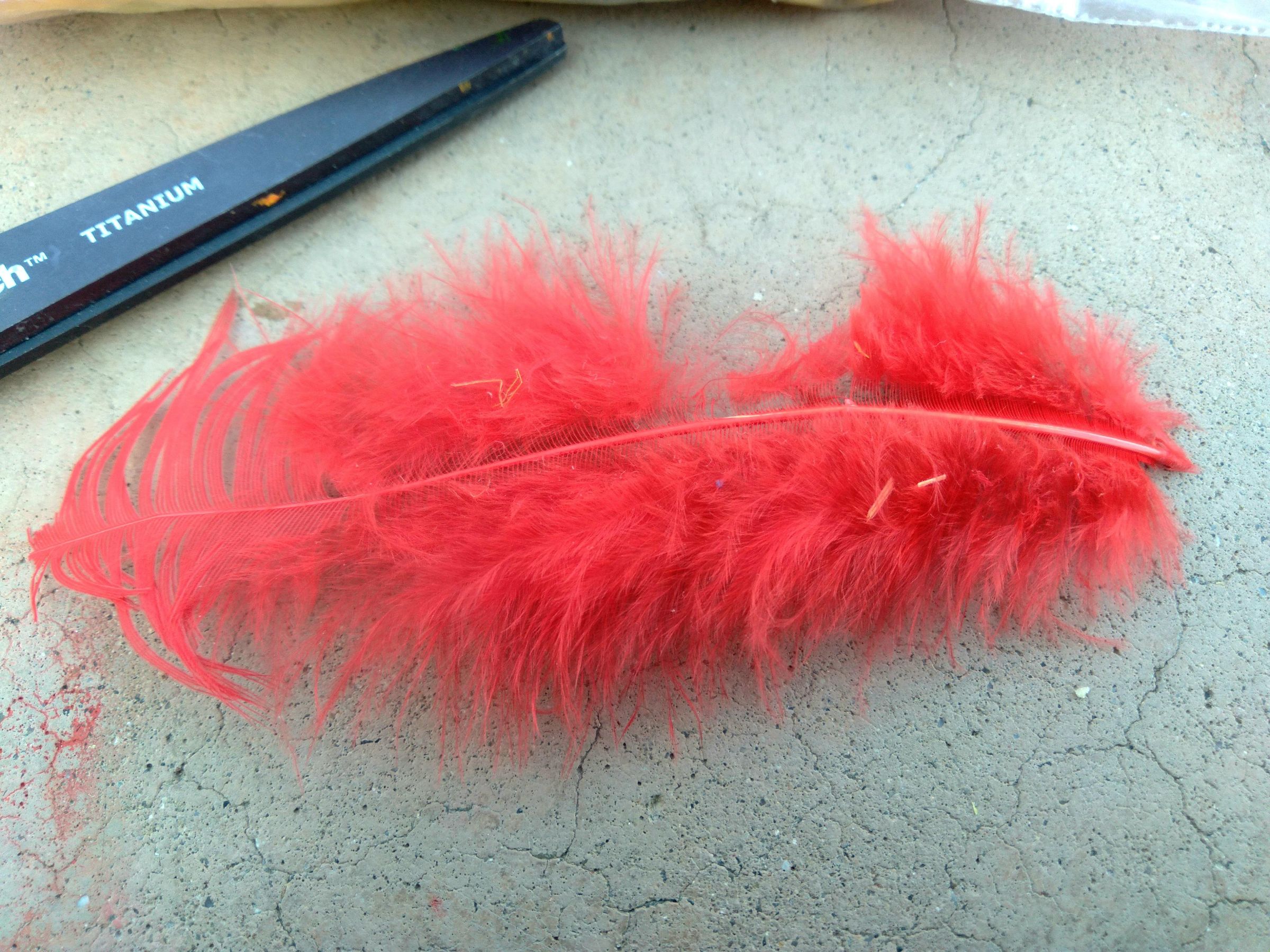 DIY Miniature Phoenix : 10 Steps (with Pictures) - Instructables