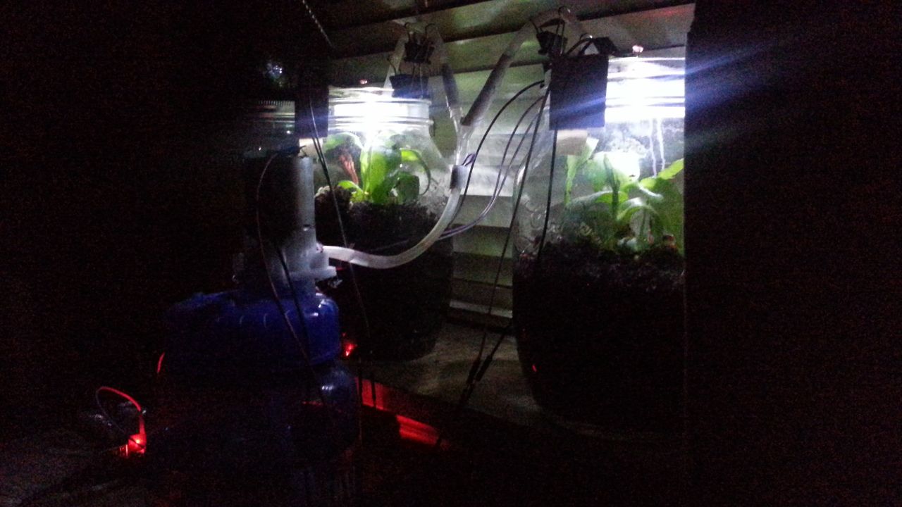 Arduino Self-Watering Plant System - Instructables