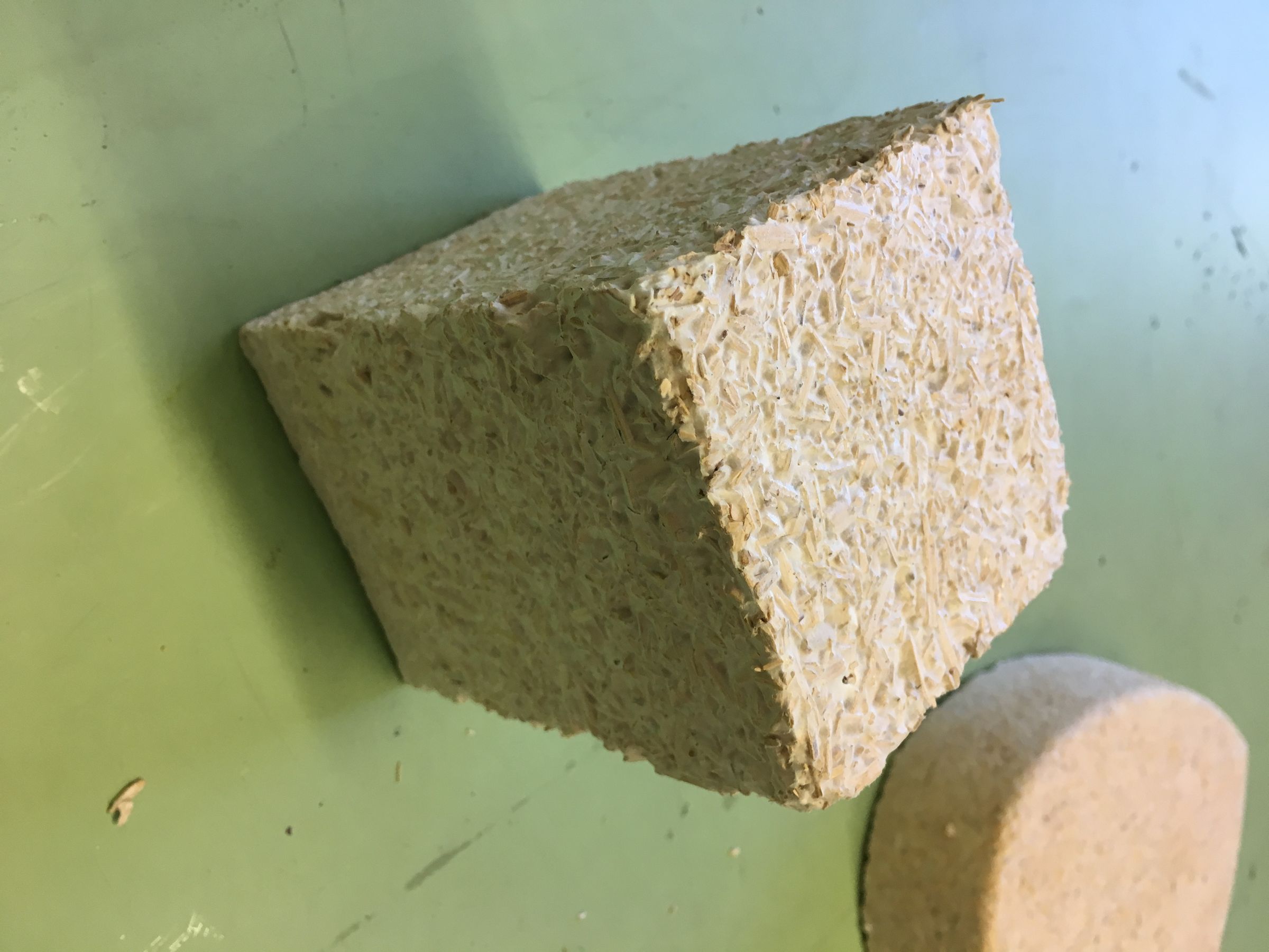 Mycelium Molds : 5 Steps (with Pictures) - Instructables