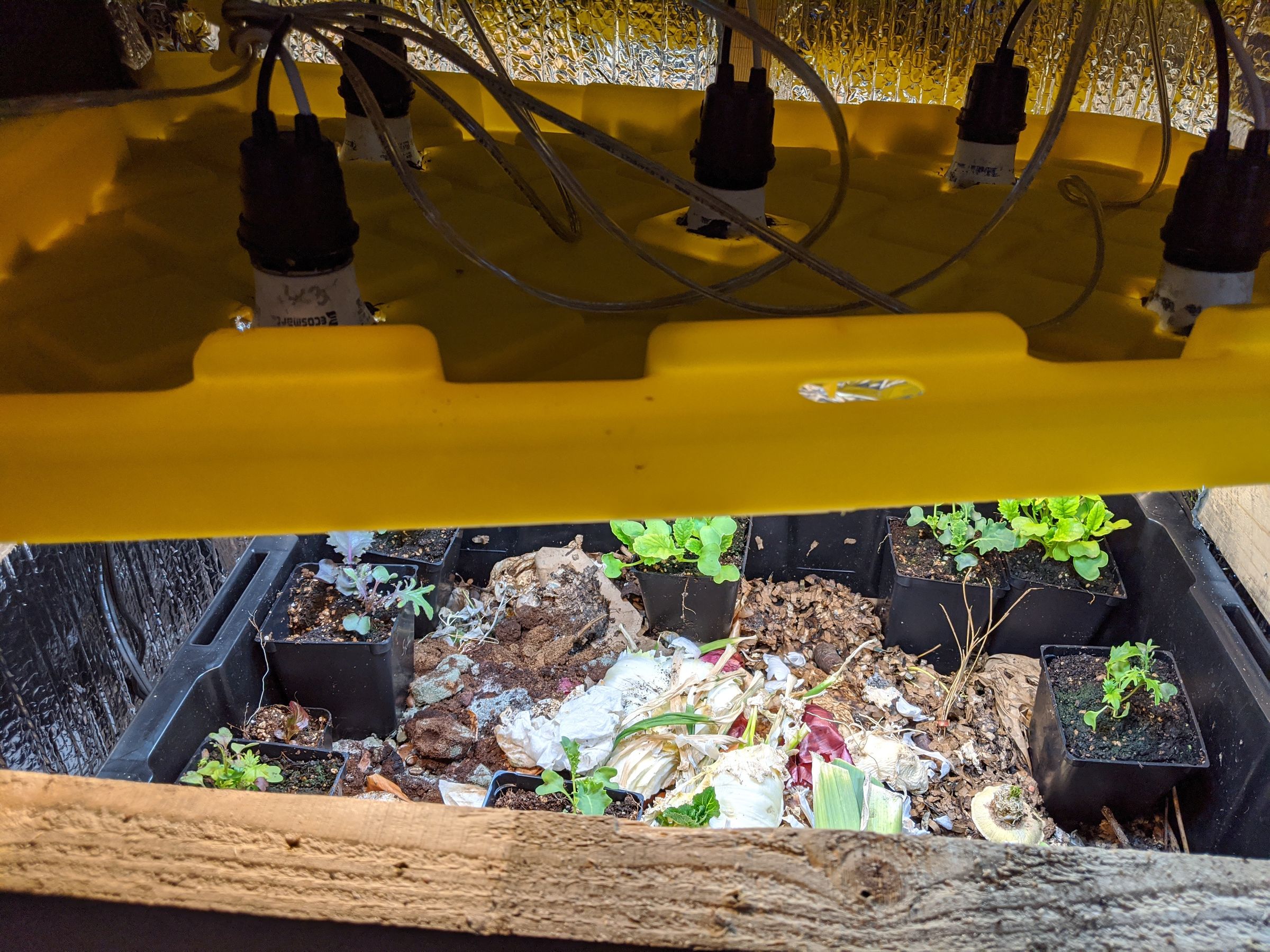 Much Lettuce Machine: Aeroponic, Automatic Grow Box : 6 Steps (with ...