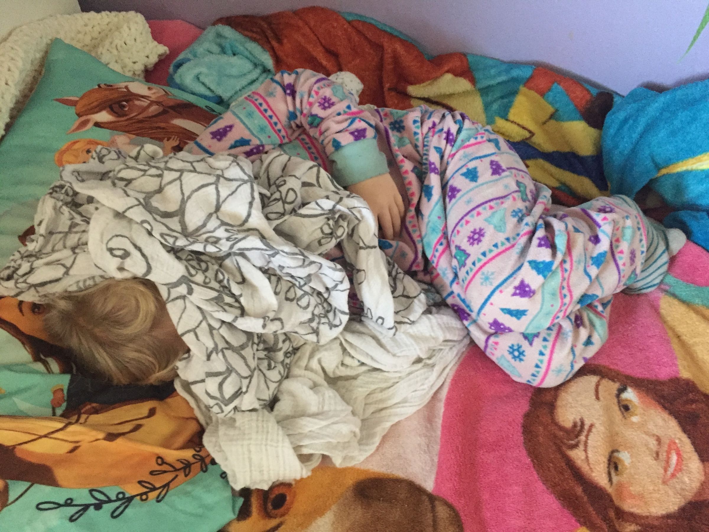 Peppermint Schnapps Chocolate Drop Cookies : 9 Steps (with Pictures ...