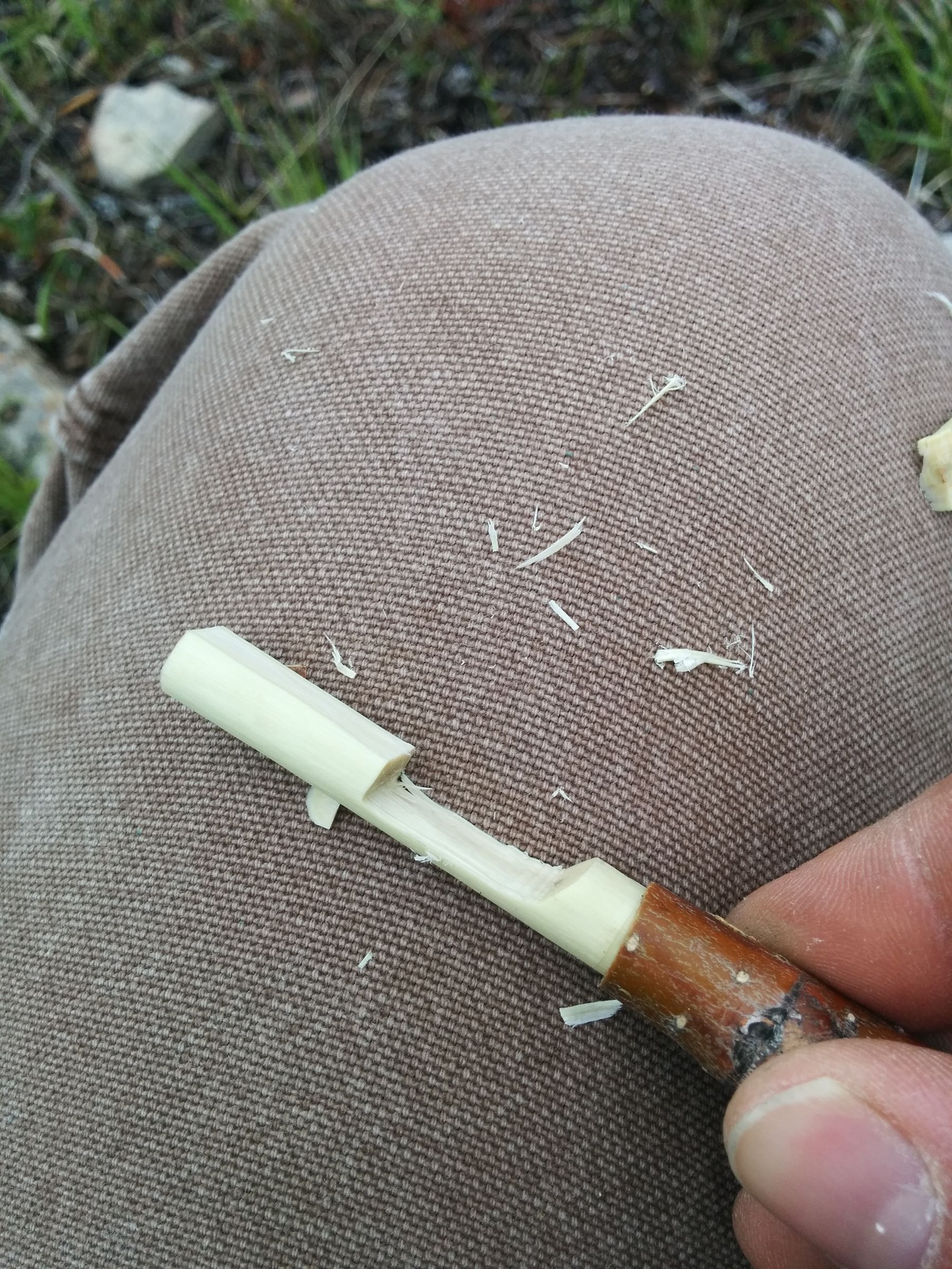 Stick Bark Whistle : 10 Steps (with Pictures) - Instructables