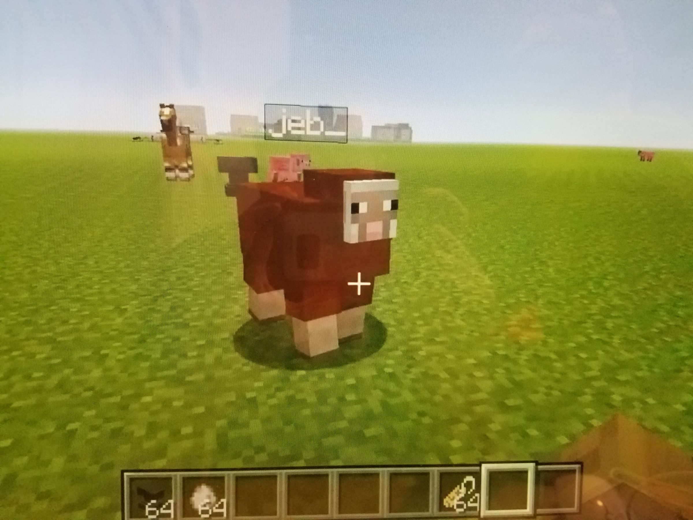 Minecraft Jeb Sheep