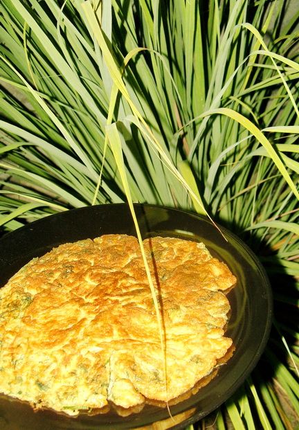 Thai Fried Omelette With Dill - Instructables