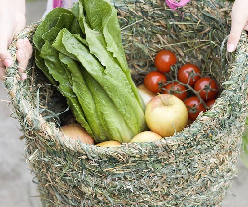 Grass Basket : 5 Steps (with Pictures) - Instructables