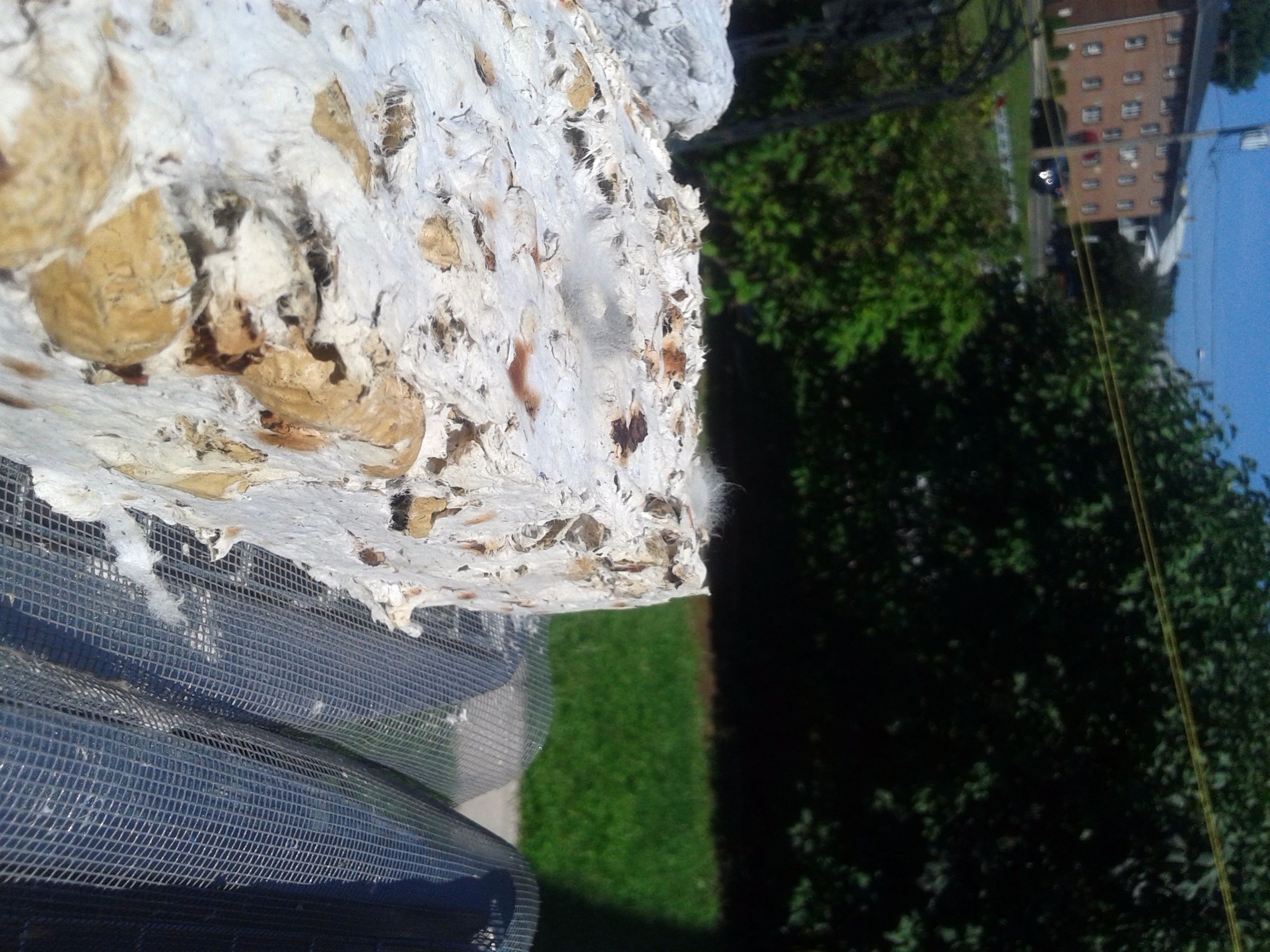 Fire Briquette Burn Tests : 3 Steps - Instructables