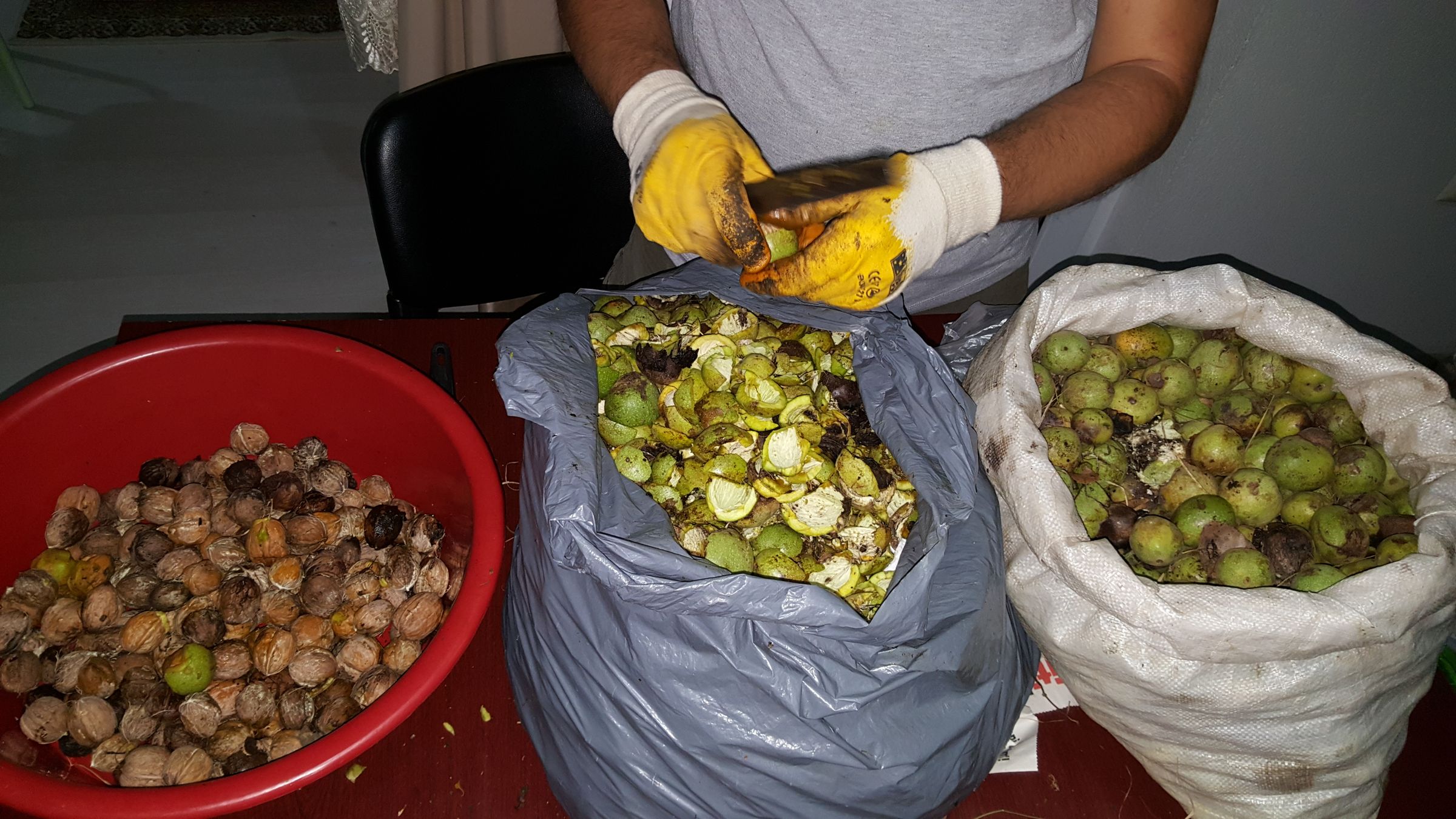 How to Extract Walnut : 6 Steps (with Pictures) - Instructables