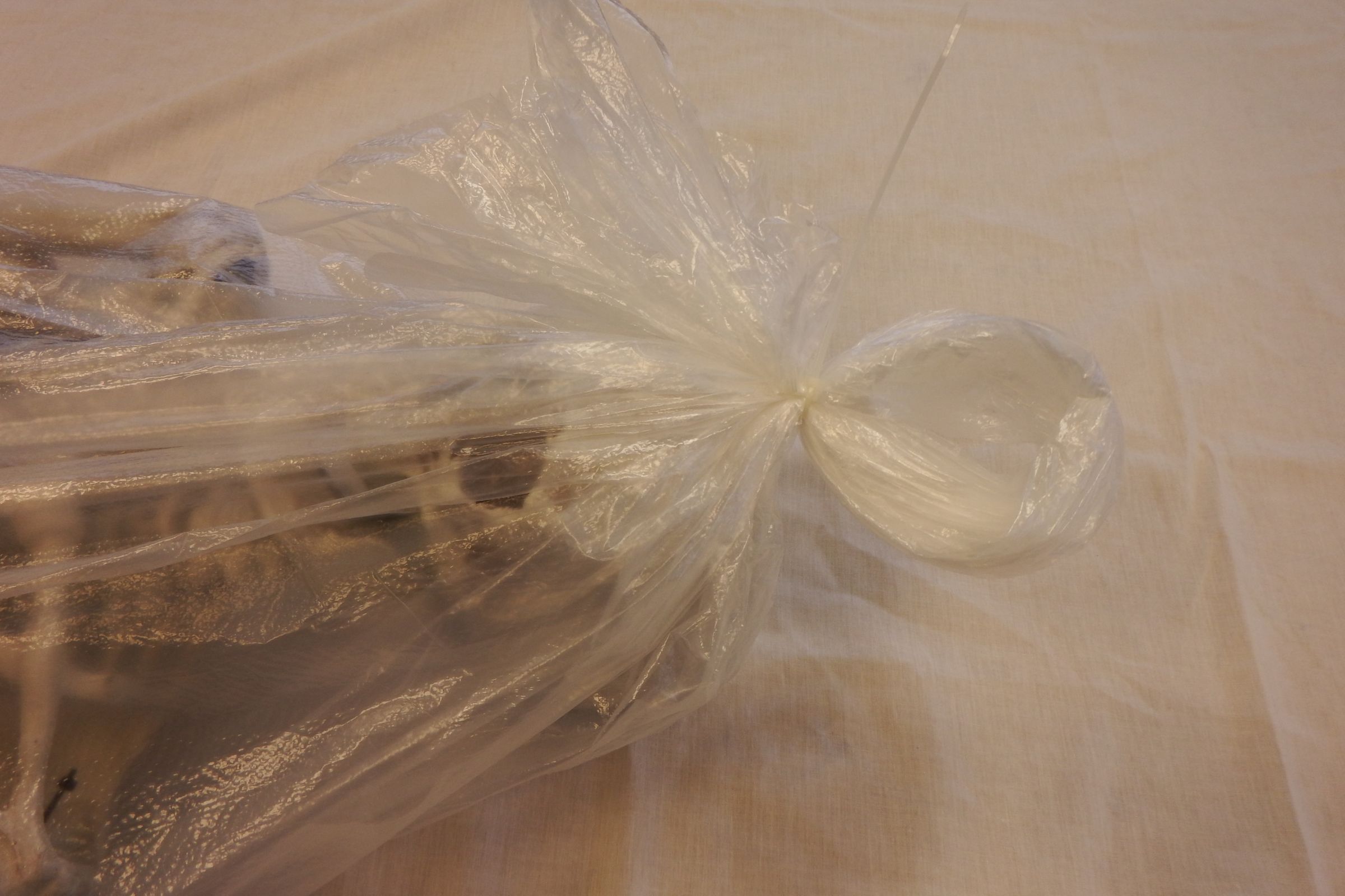 Hack and Repair Plastic Halloween Skeletons : 9 Steps - Instructables