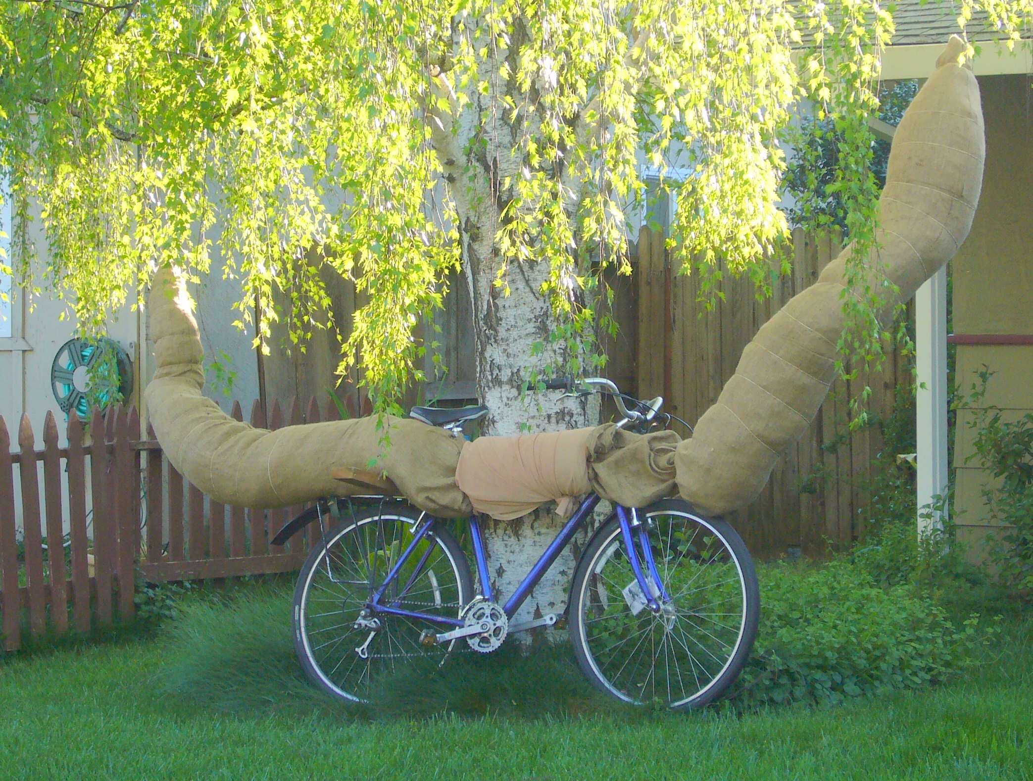 How to Make a Bike Worm Racer : 9 Steps (with Pictures) - Instructables