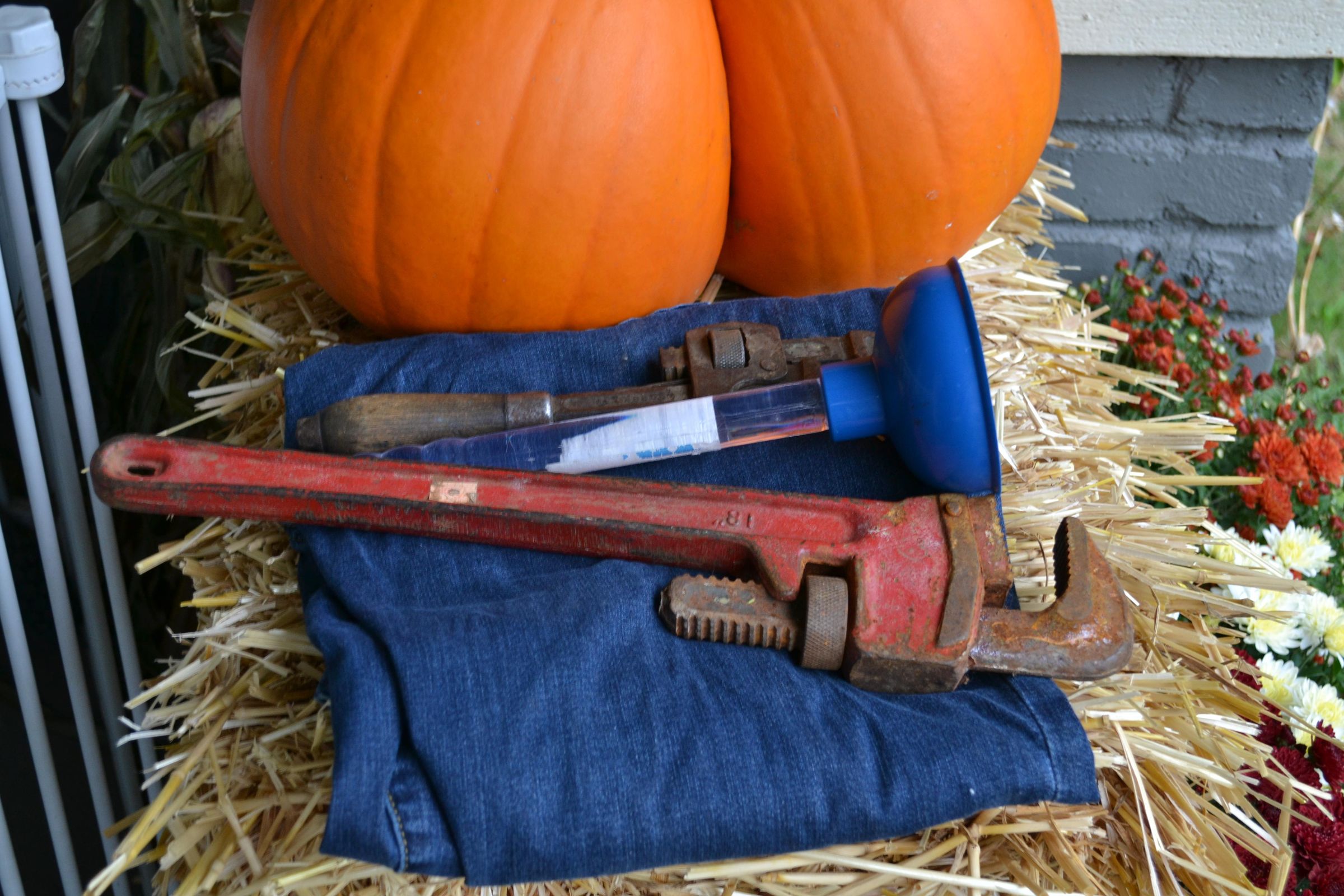 What Does a Rumpkin at Work Look Like? : 3 Steps (with Pictures ...