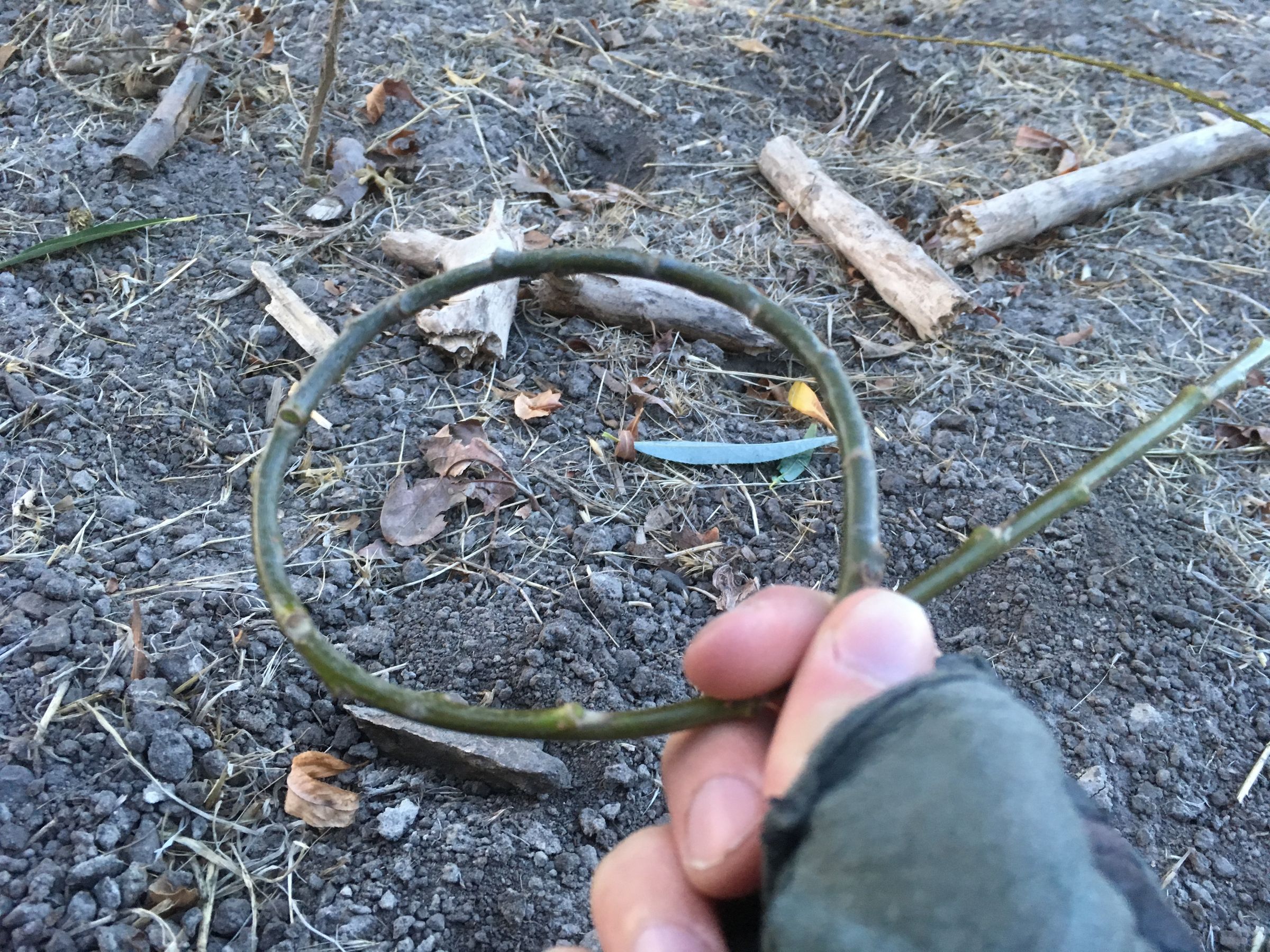 5 Super-easy Branch Carving Projects : 10 Steps (with Pictures ...