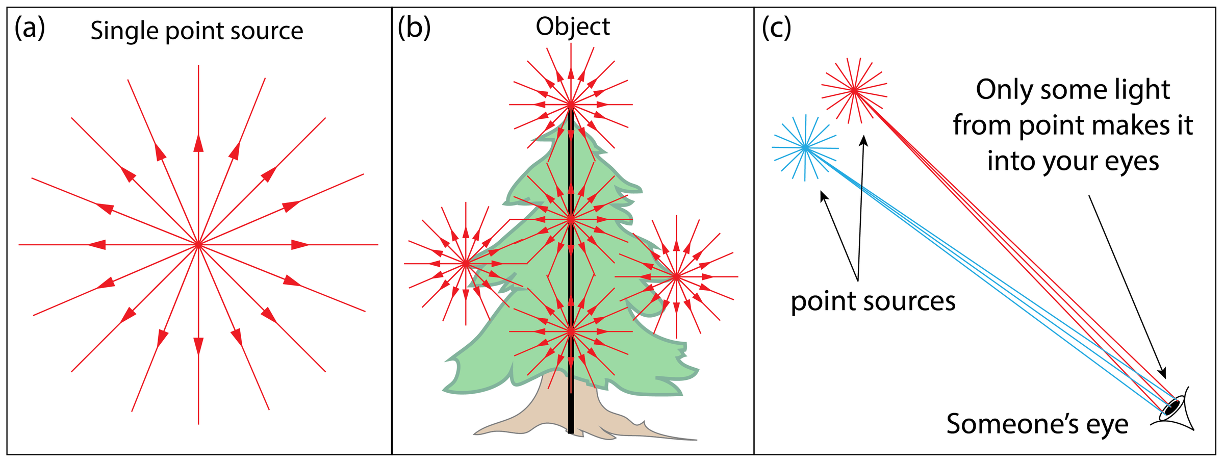 Low-cost Fluorescence and Brightfield Microscopes : 9 Steps (with ...