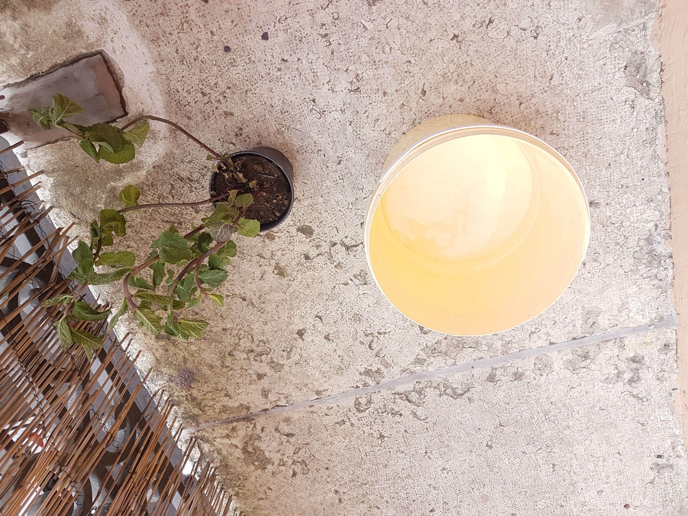First Timer Hydroponics: the Raft System : 8 Steps (with Pictures ...