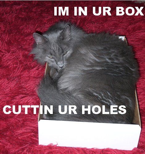 How to Make LOLCats, Meme Cats, Cat Macros, or Cat Pictures With Funny ...