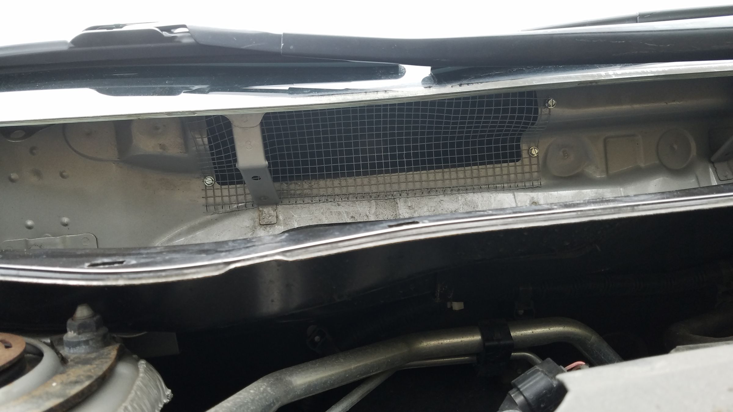 Mouse-Proofing a Toyota Corolla : 6 Steps - Instructables