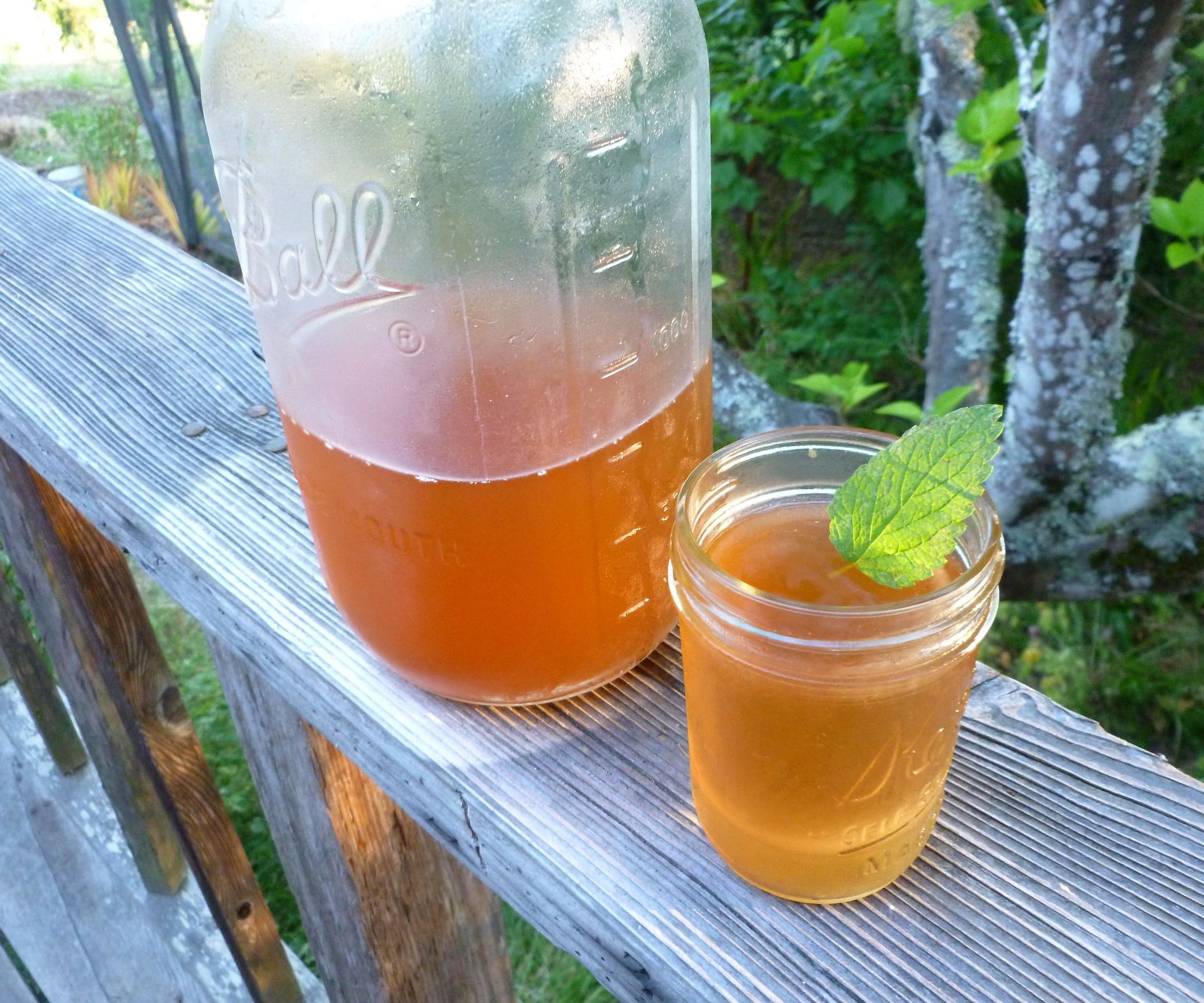 Sun Made Ice Tea : 5 Steps (with Pictures) - Instructables