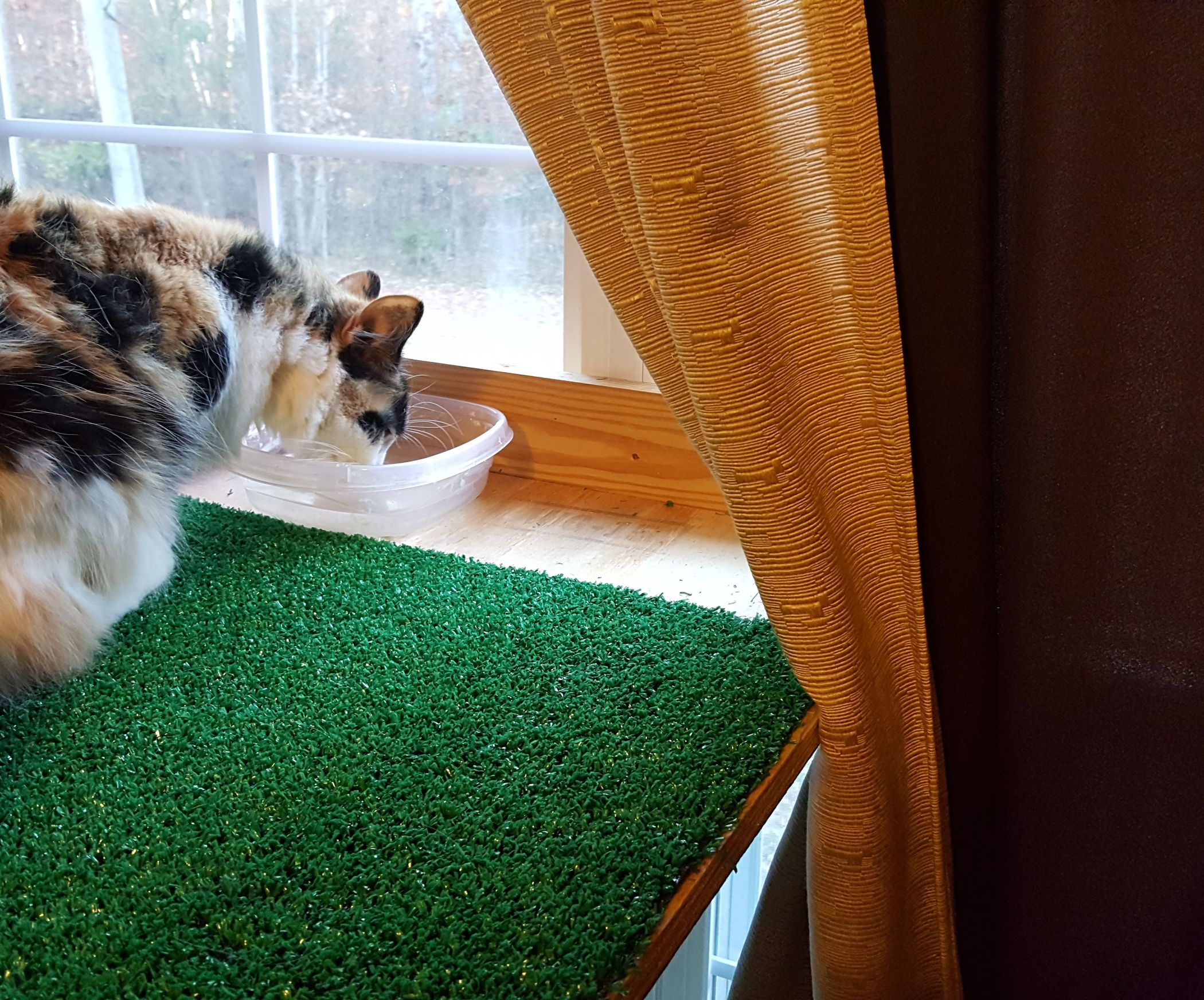 Cat Feeding Post : 3 Steps - Instructables