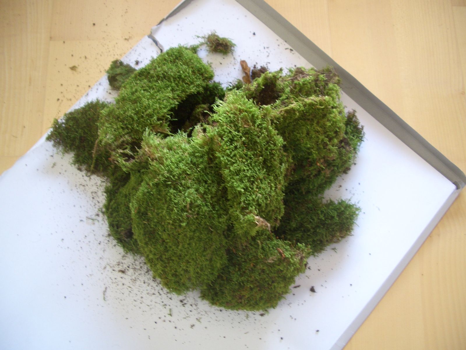 DIY Moss Wreath : 4 Steps - Instructables