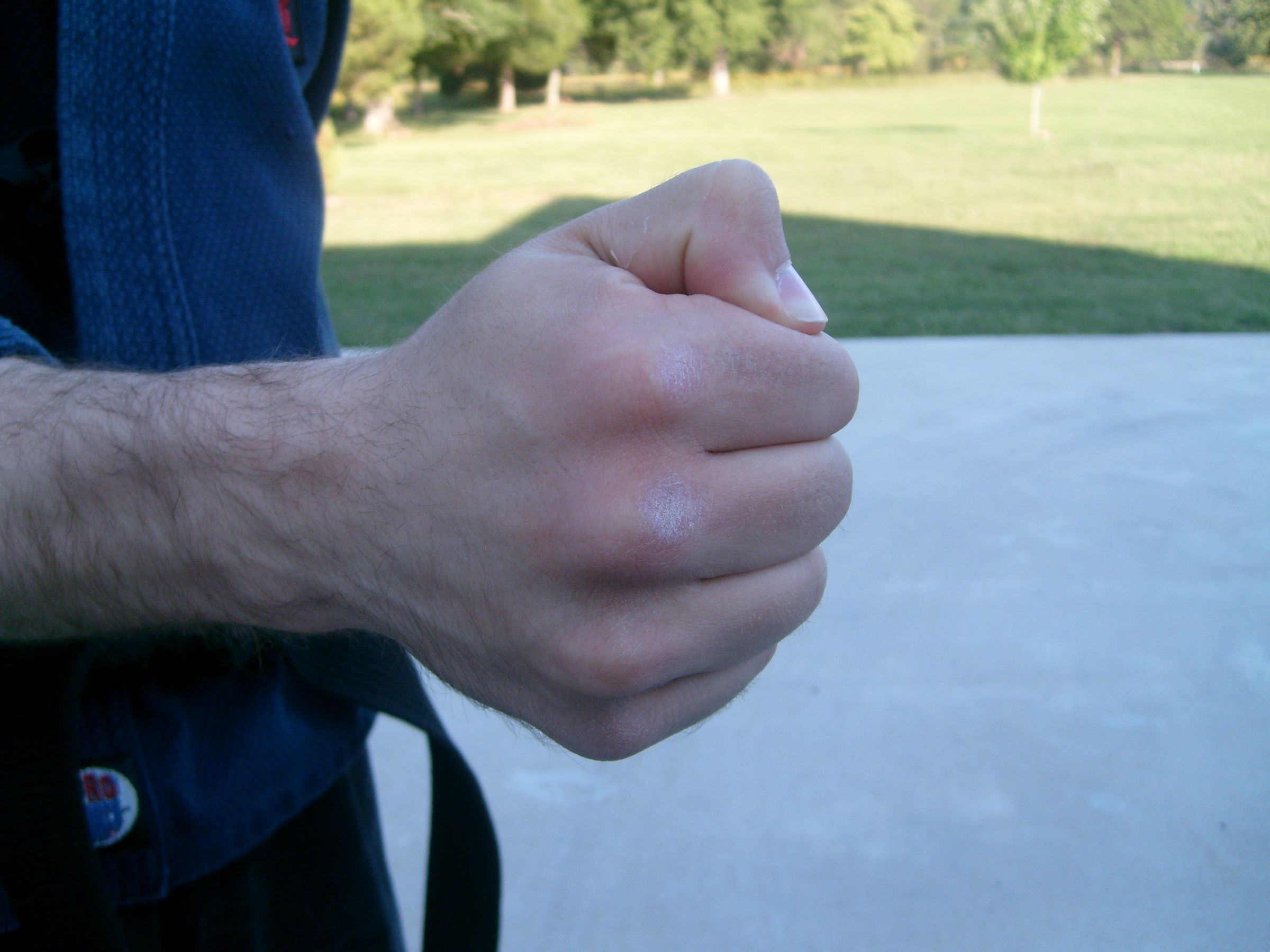 How to Throw a Punch : 6 Steps (with Pictures) - Instructables