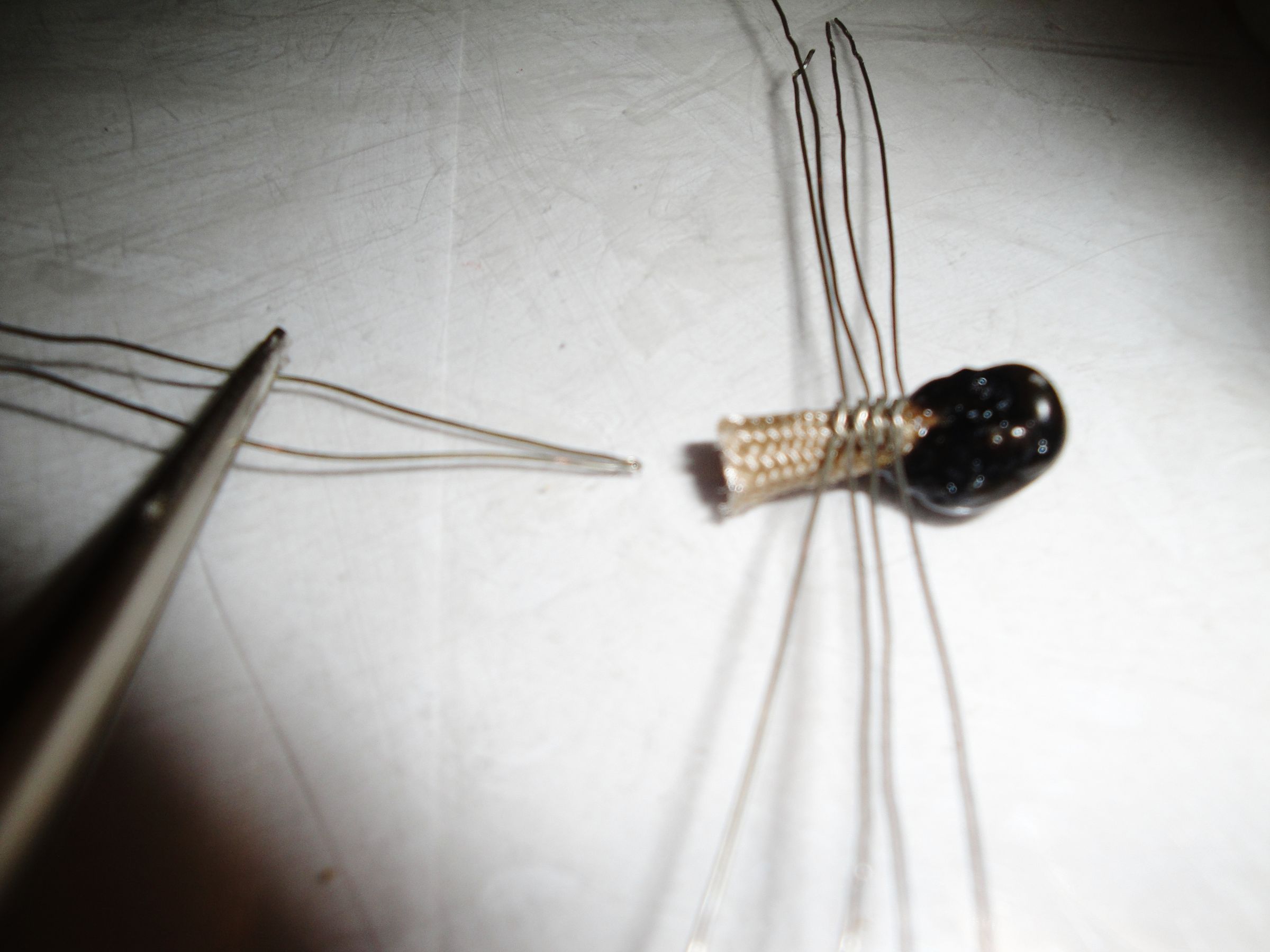 Realistic Spider (Life-Size Prop) : 7 Steps (with Pictures) - Instructables