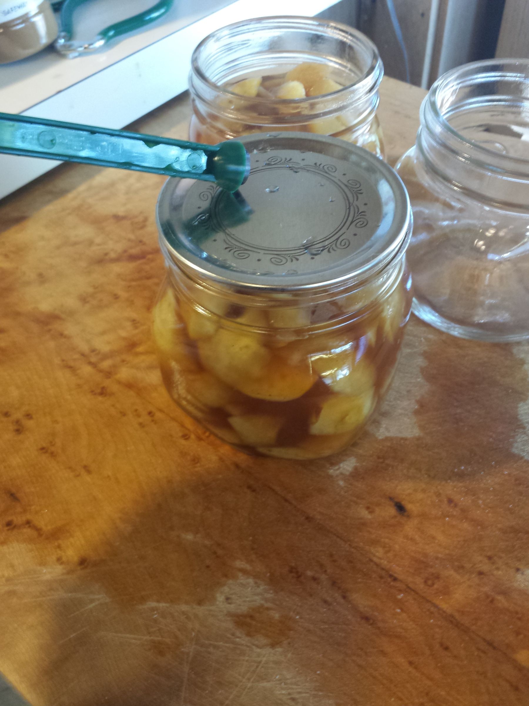 Pressure Canning Apples From Home : 23 Steps - Instructables