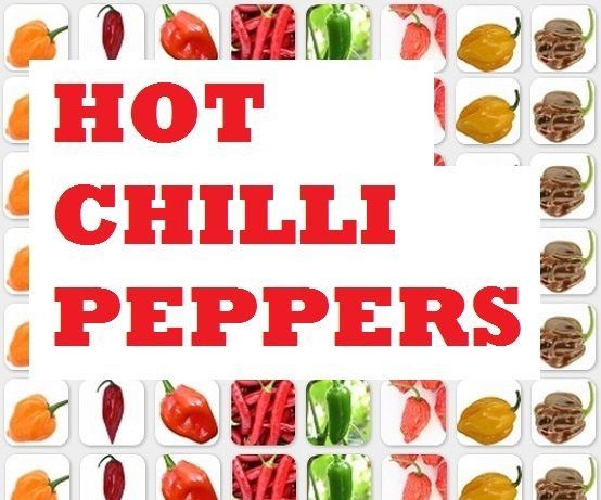 16 Tips on Growing Hot Chilli Peppers in a Cold Climate : 4 Steps (with ...