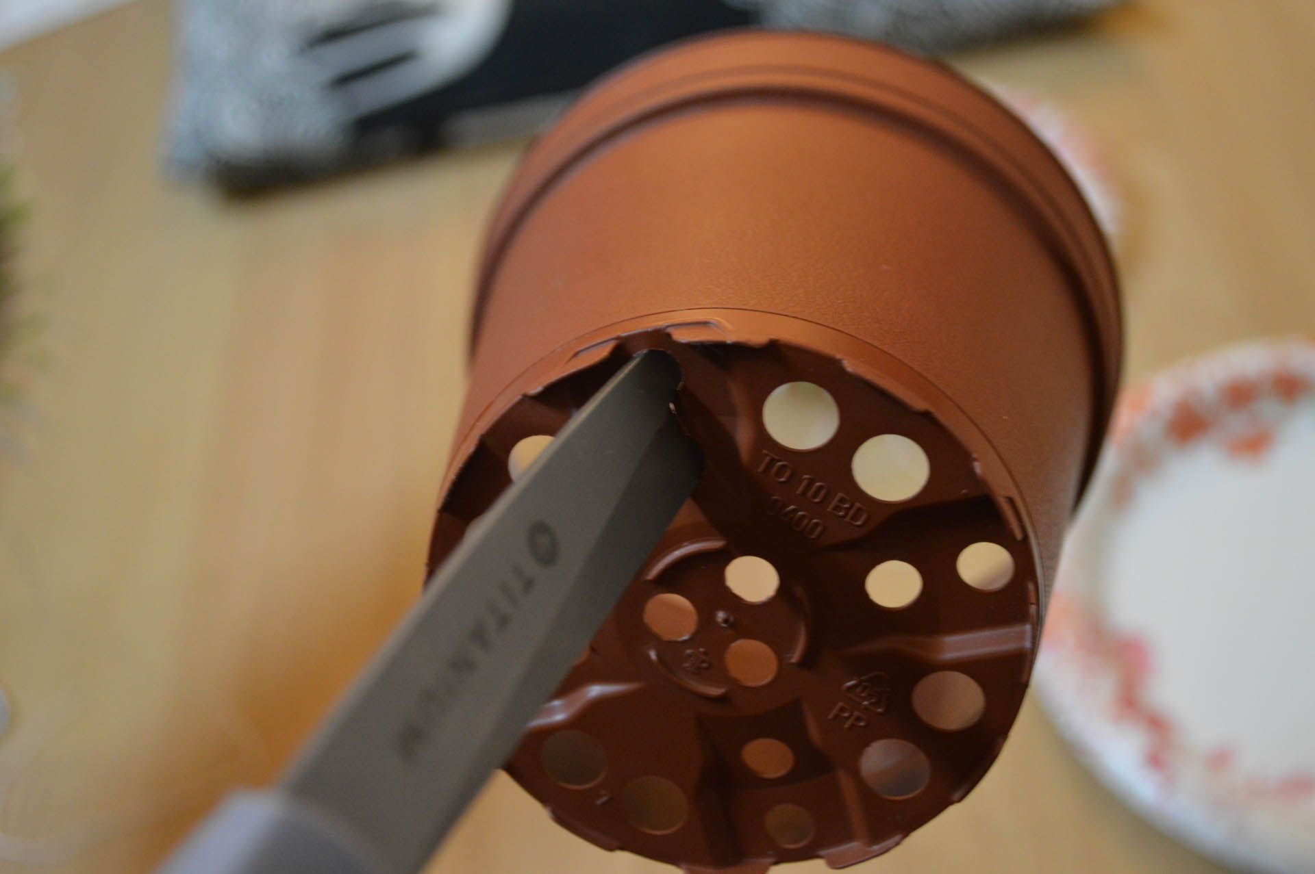 Venus Fly Trap Toy Powered by Intel Edison : 11 Steps (with Pictures ...