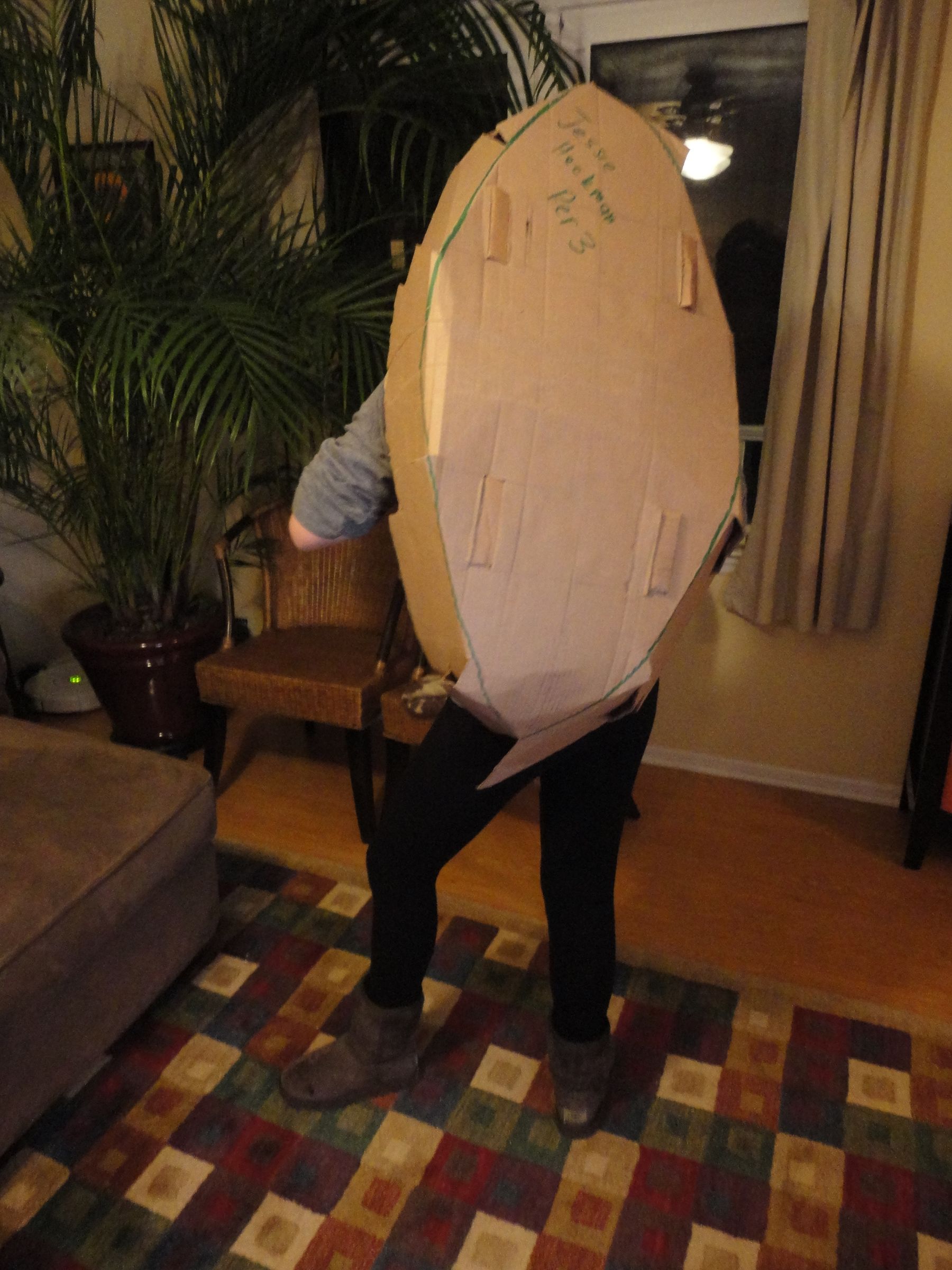 "Crush" Turtle Cardboard Costume! : 12 Steps - Instructables