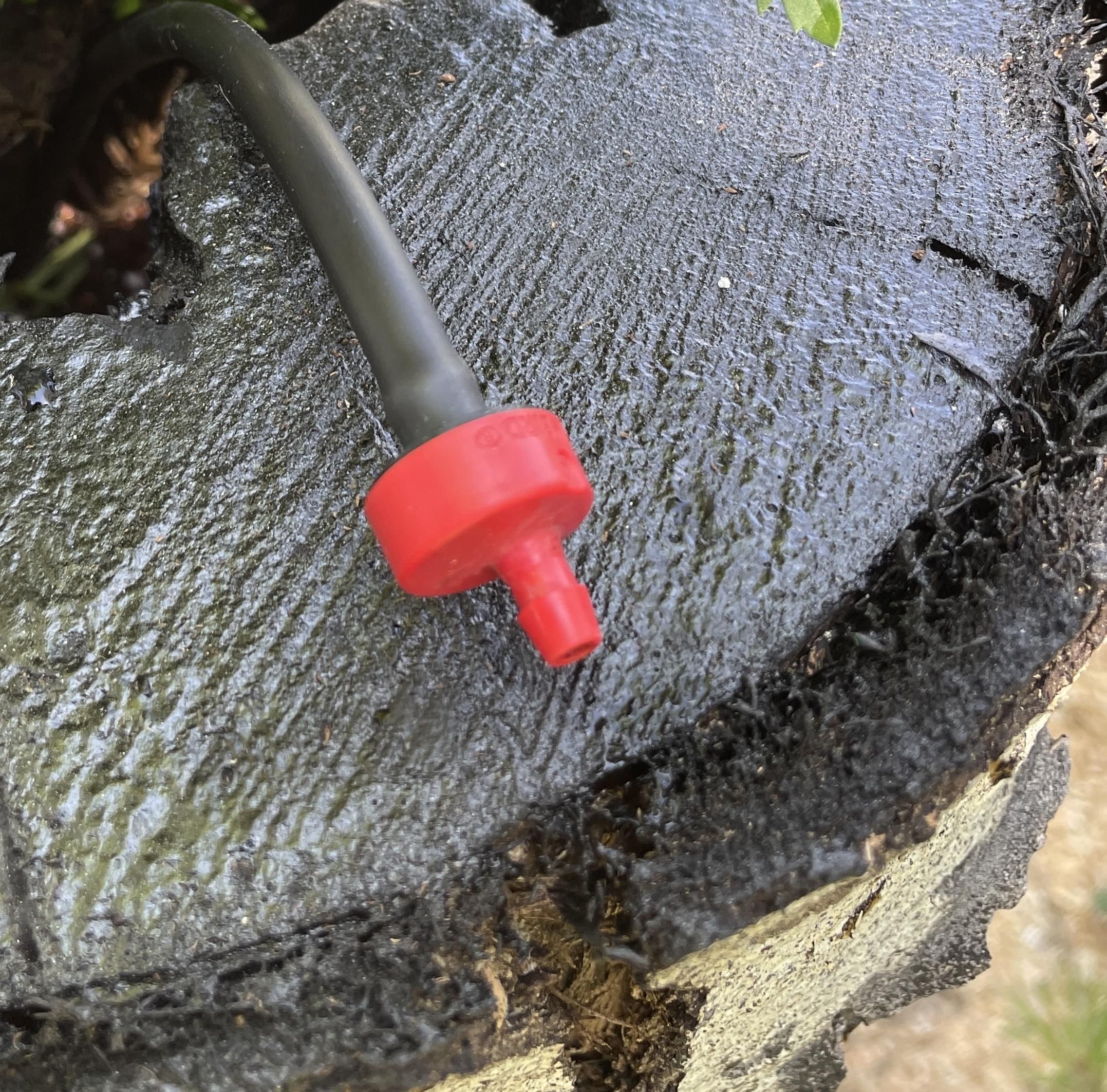 Transform a Tree Stump Into a Planter Box : 11 Steps (with Pictures ...