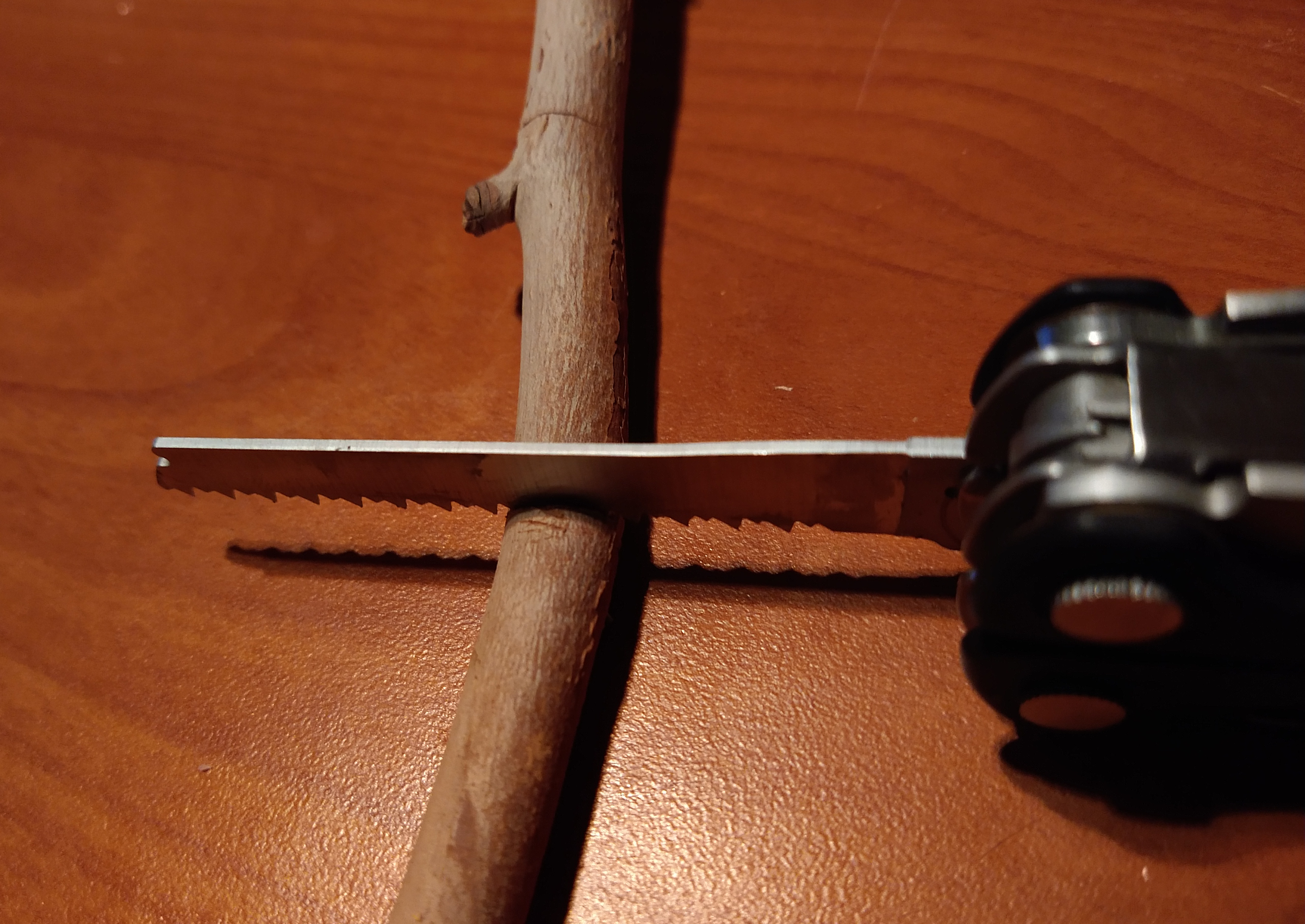 Perfect Praying Mantis Cups : 9 Steps (with Pictures) - Instructables