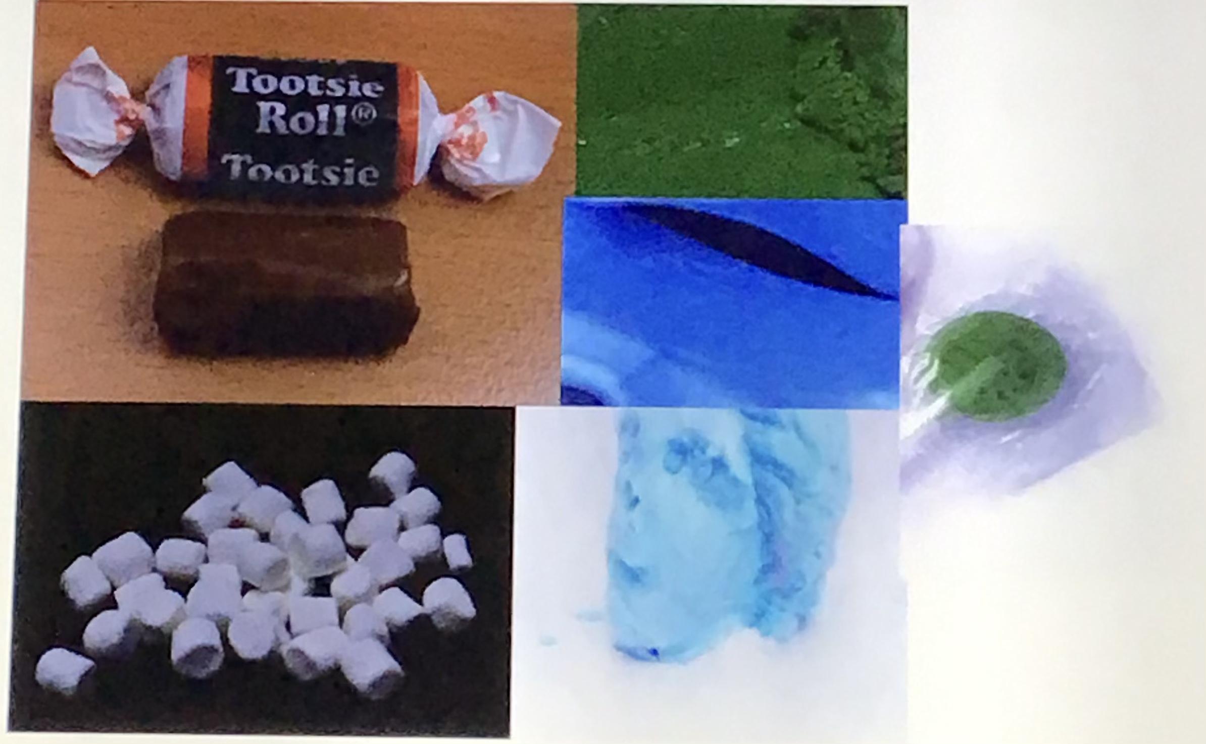 Easy Freshwater Ecosystem With Candy! : 10 Steps - Instructables