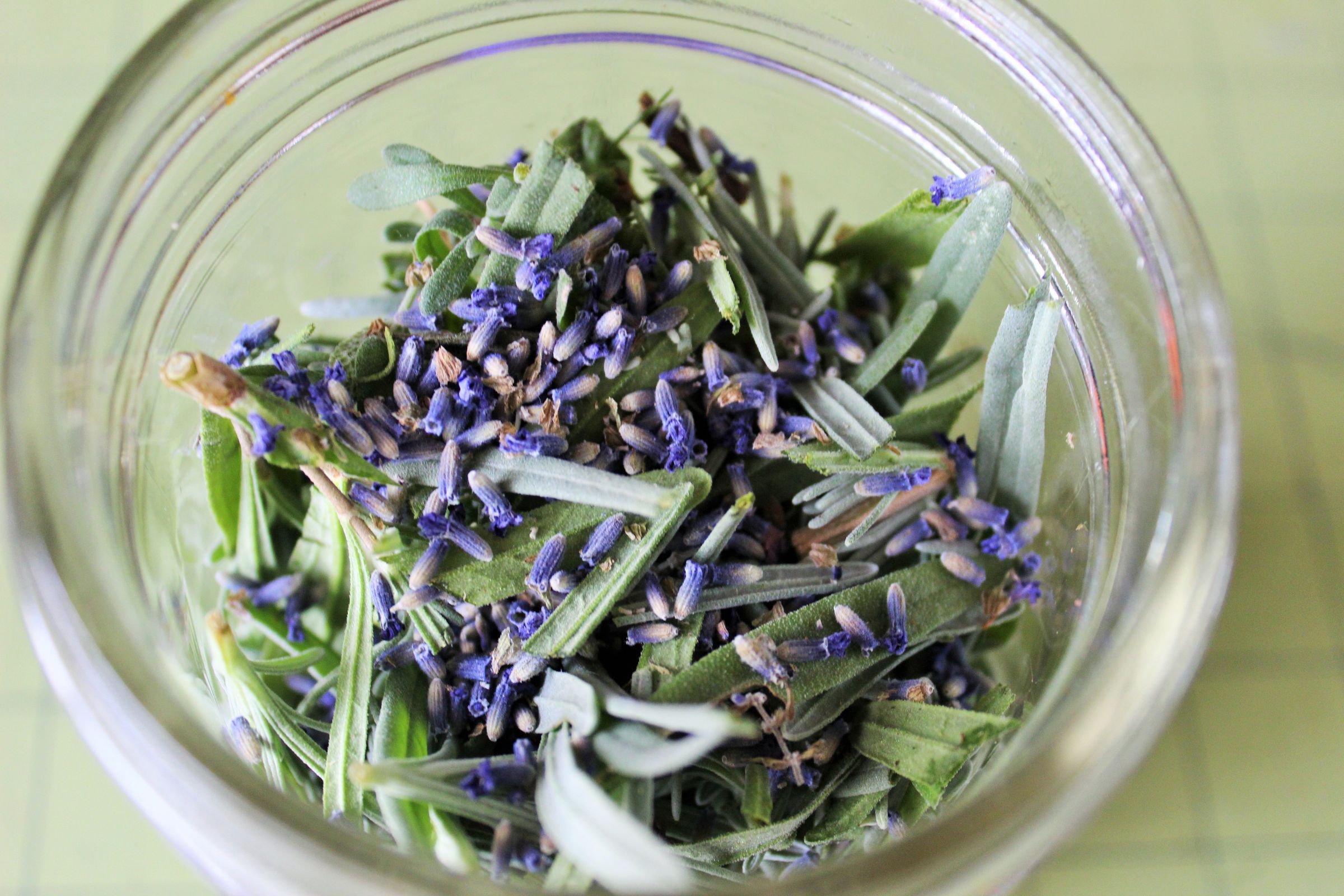 How to Make Lavender Oil (with Pictures) - Instructables