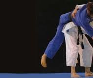 Basic Judo Hip Throw: O Goshi Introduction : 3 Steps - Instructables