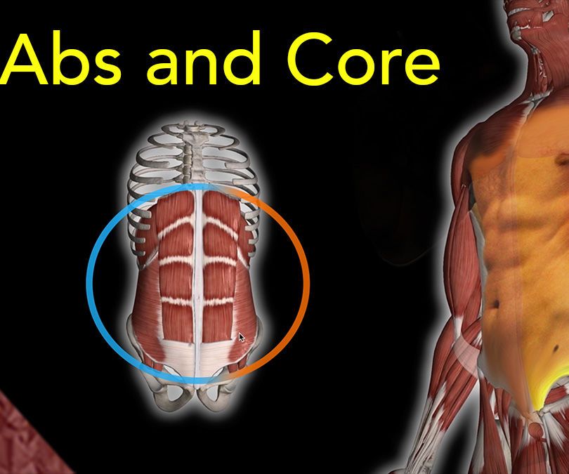 Core Workout. Abs and Six Pack - Instructables