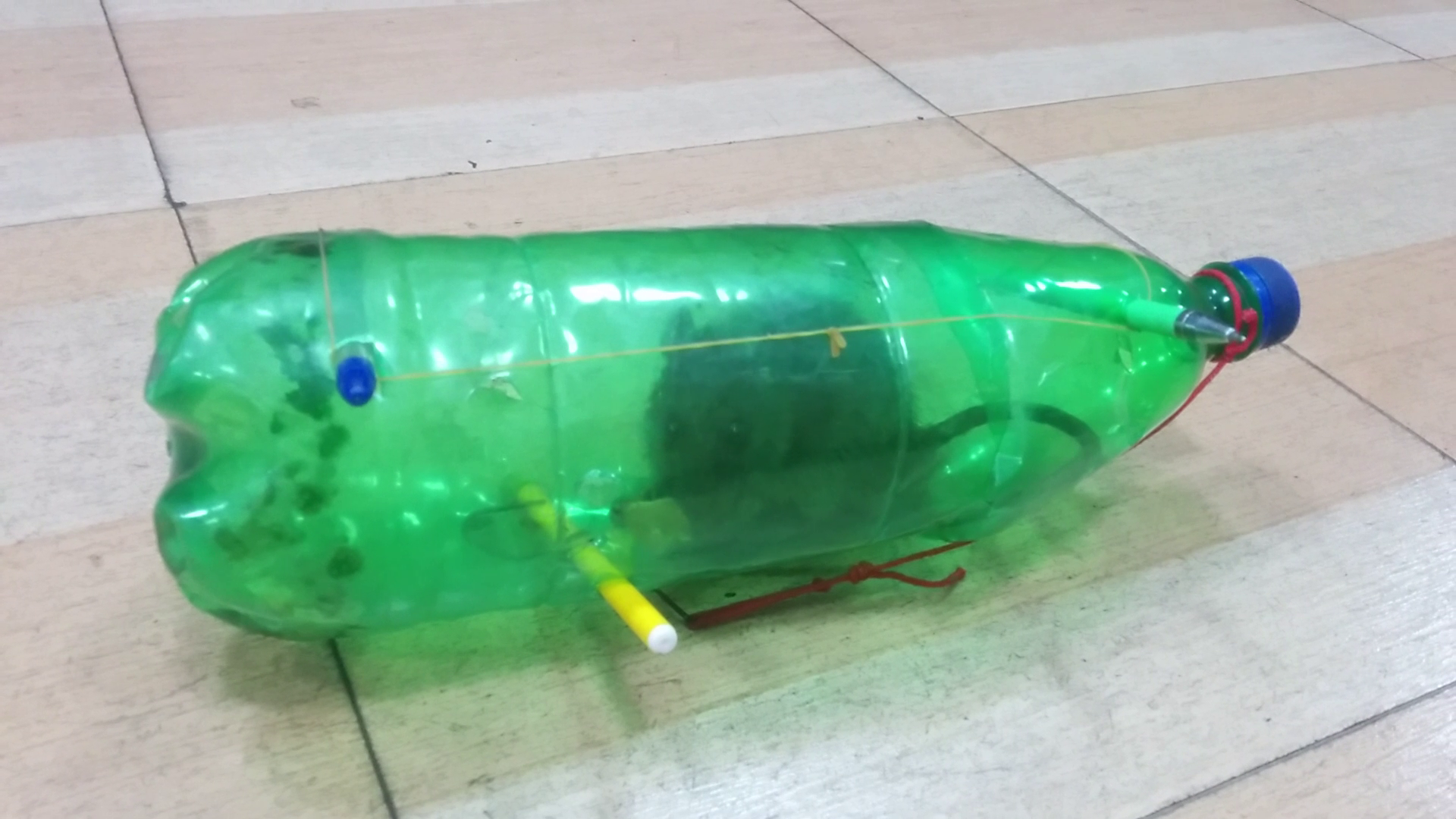 RECYCLED BOTTLE RAT TRAP : 13 Steps (with Pictures) - Instructables