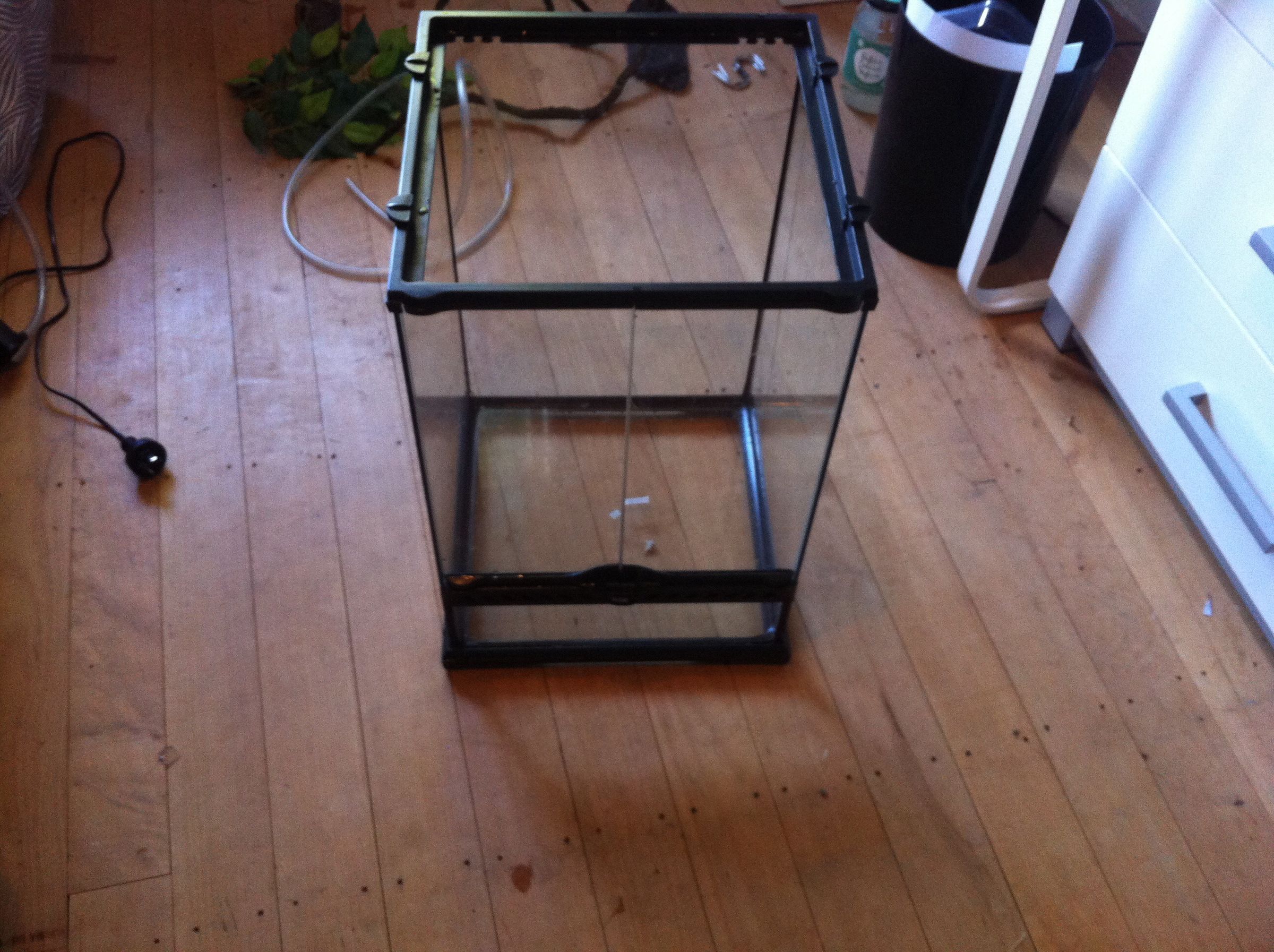 Terrarium/Vivarium Setup : 8 Steps (with Pictures) - Instructables