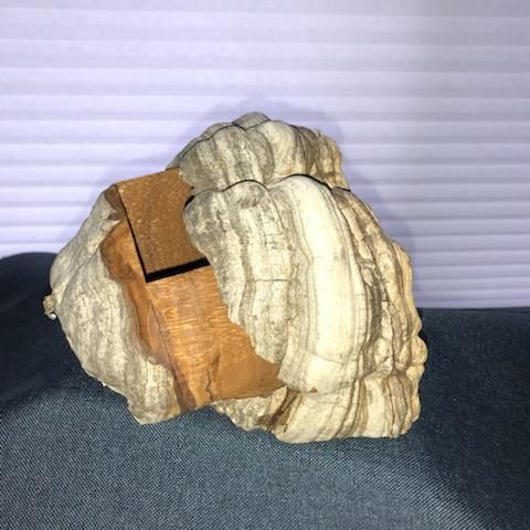 Mushroom Box : 6 Steps - Instructables